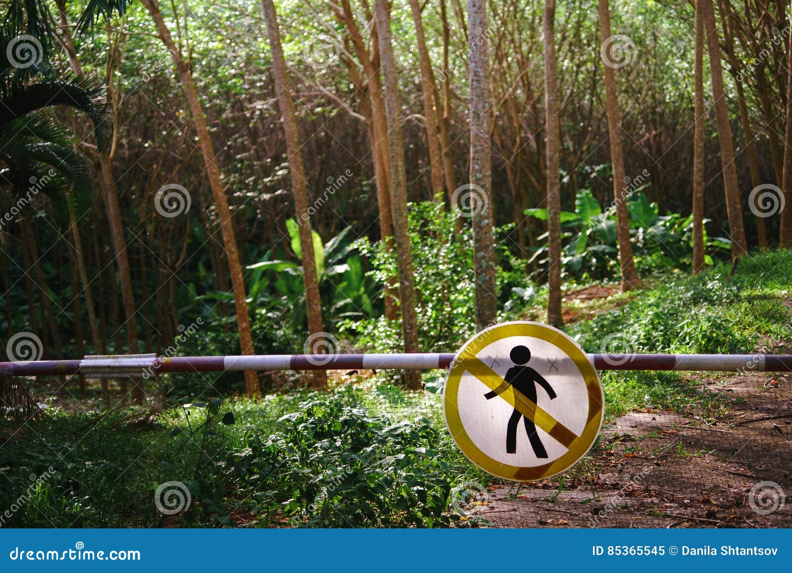 Pass mark is prohibited stock image. Image of nature - 85365545