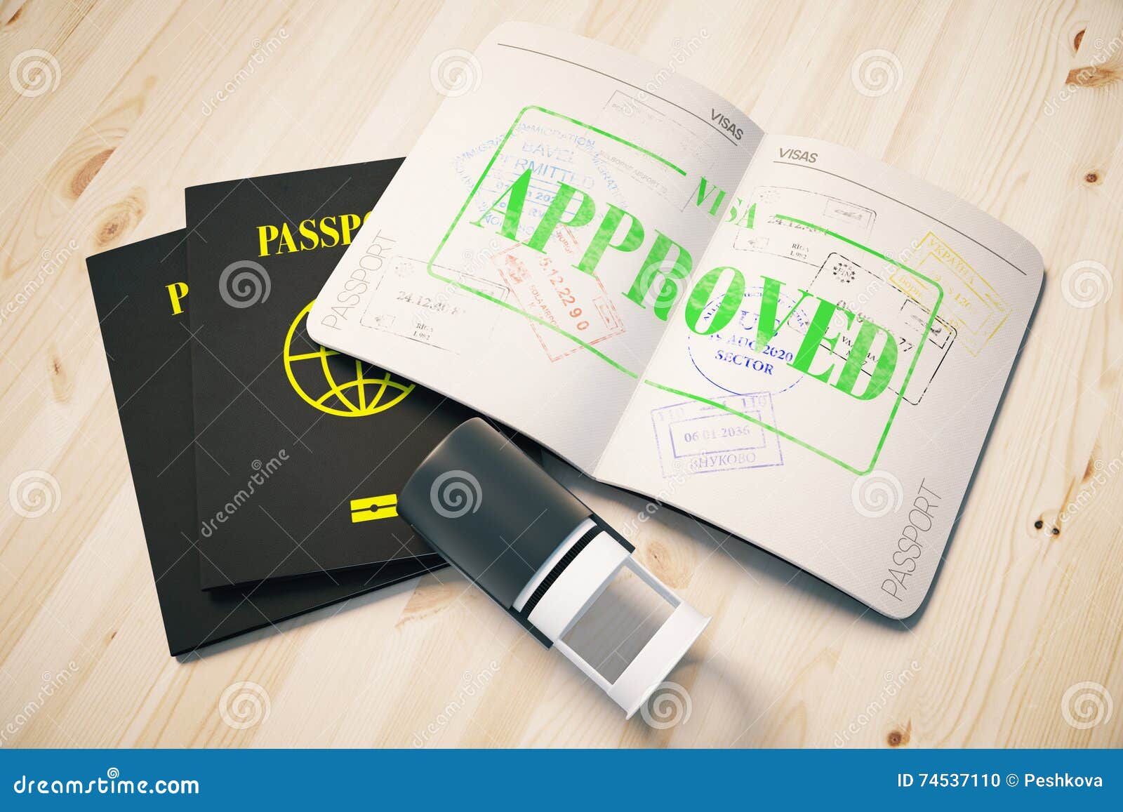 Pass mit anerkanntem Visum stock abbildung. Illustration von zustimmung ...