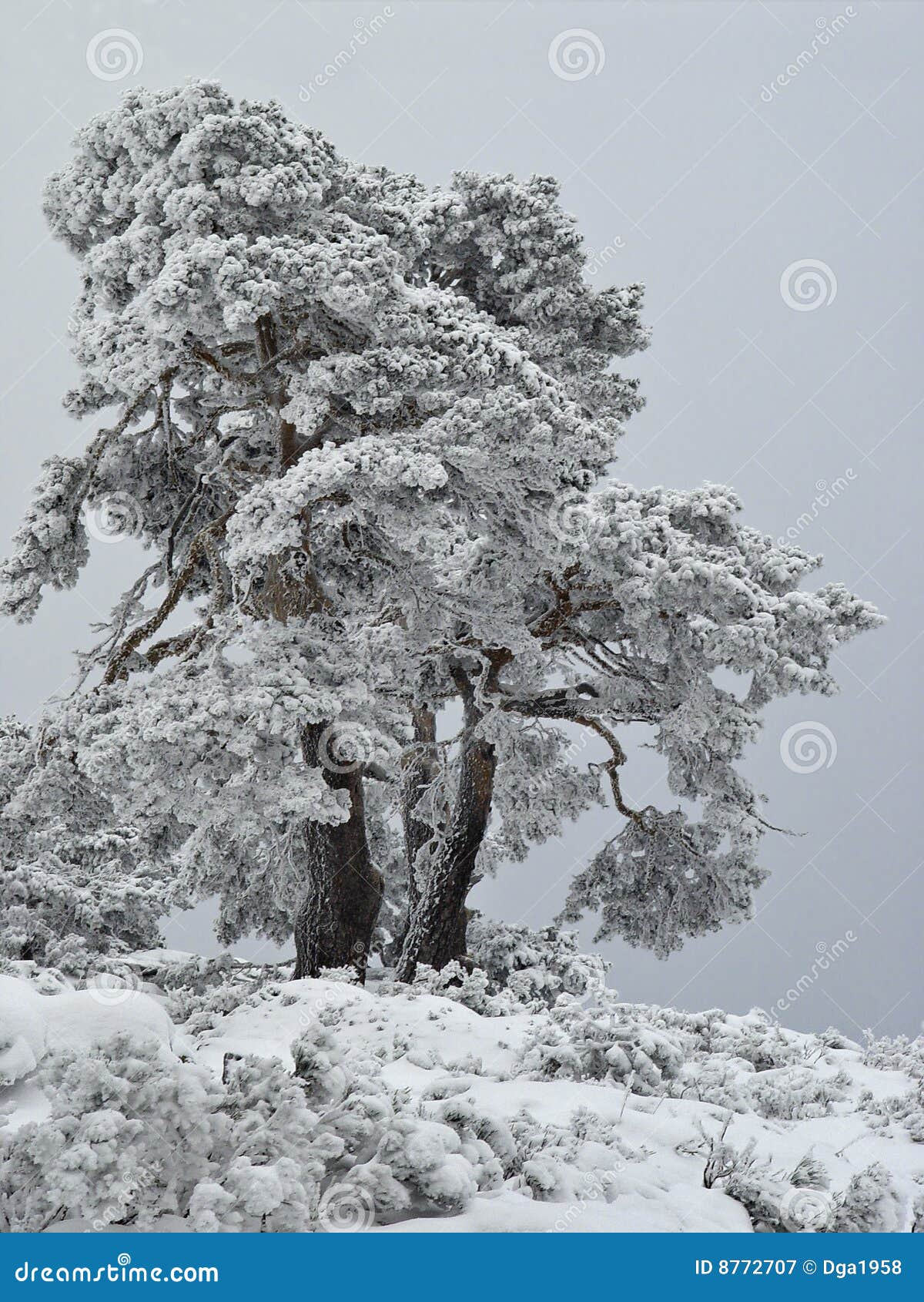 The Pass Of Navacerrada, Madrid, Spain Stock Image - Image of cloud ...
