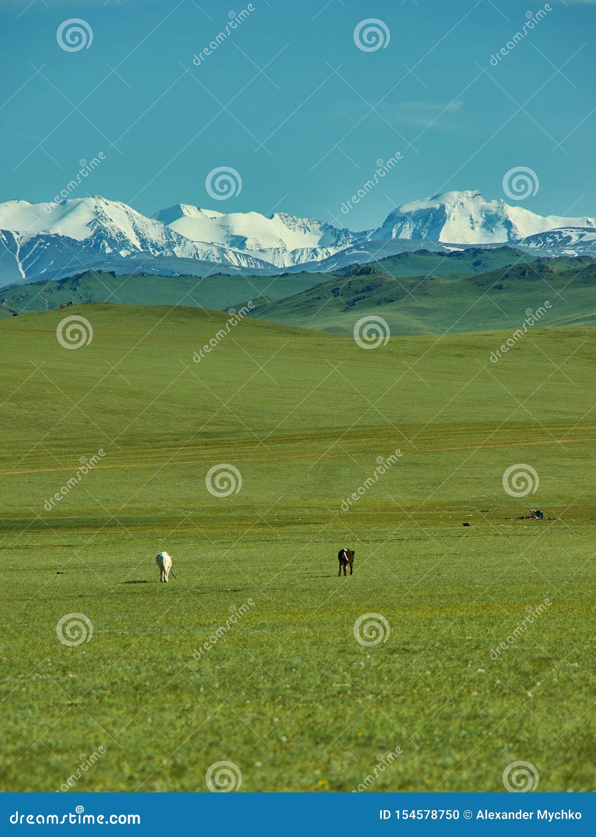 Pass Ulaan davaa stock photo. Image of nature, mongolia - 154578750