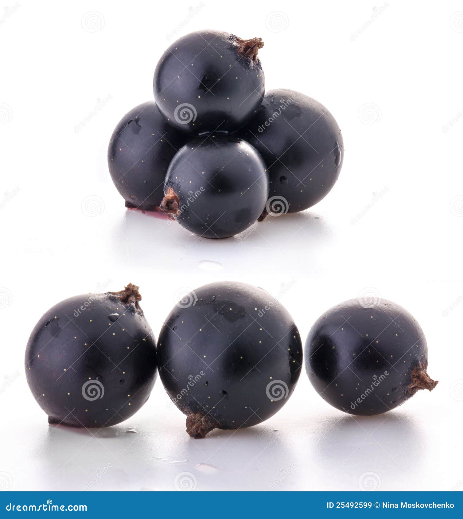 Passa de Corinto preta imagem de stock. Imagem de groselhas - 25492599