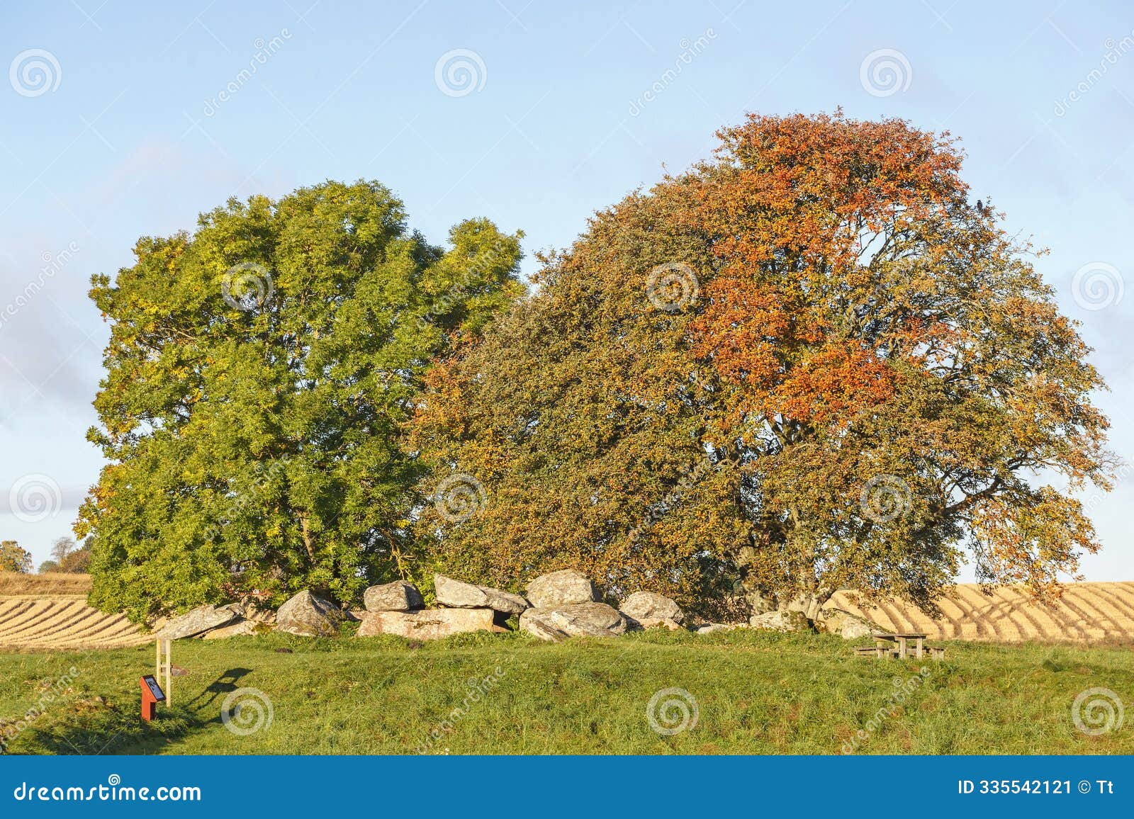 Passage Grave on a Hill at a Tree Grow in Autumn Stock Image - Image of ...
