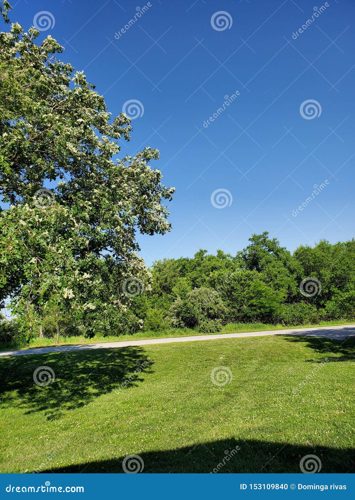 Passage stock photo. Image of passage, walk, green, trees - 153109840