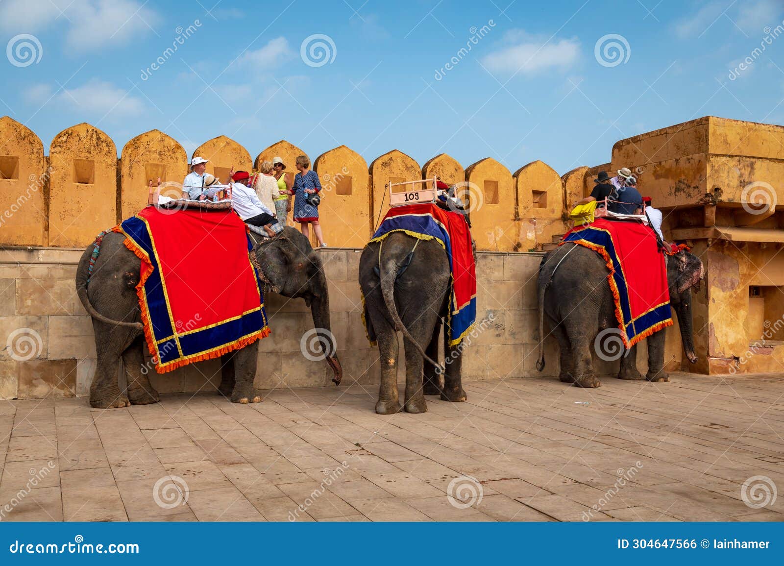 Elephants Enter the Main Courtyard in the Amber, Fort Amer , Rajasthan ...