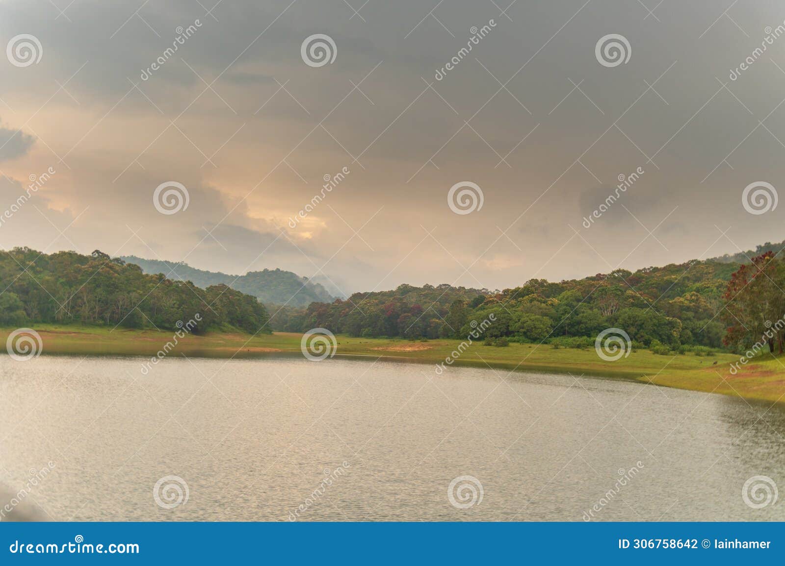 Periyar Tiger Reserve, Thekkady, India Editorial Photography - Image of ...