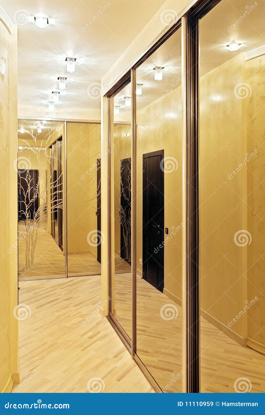 Passage with a Mirror Wardrobe Stock Image - Image of brown, elegance ...