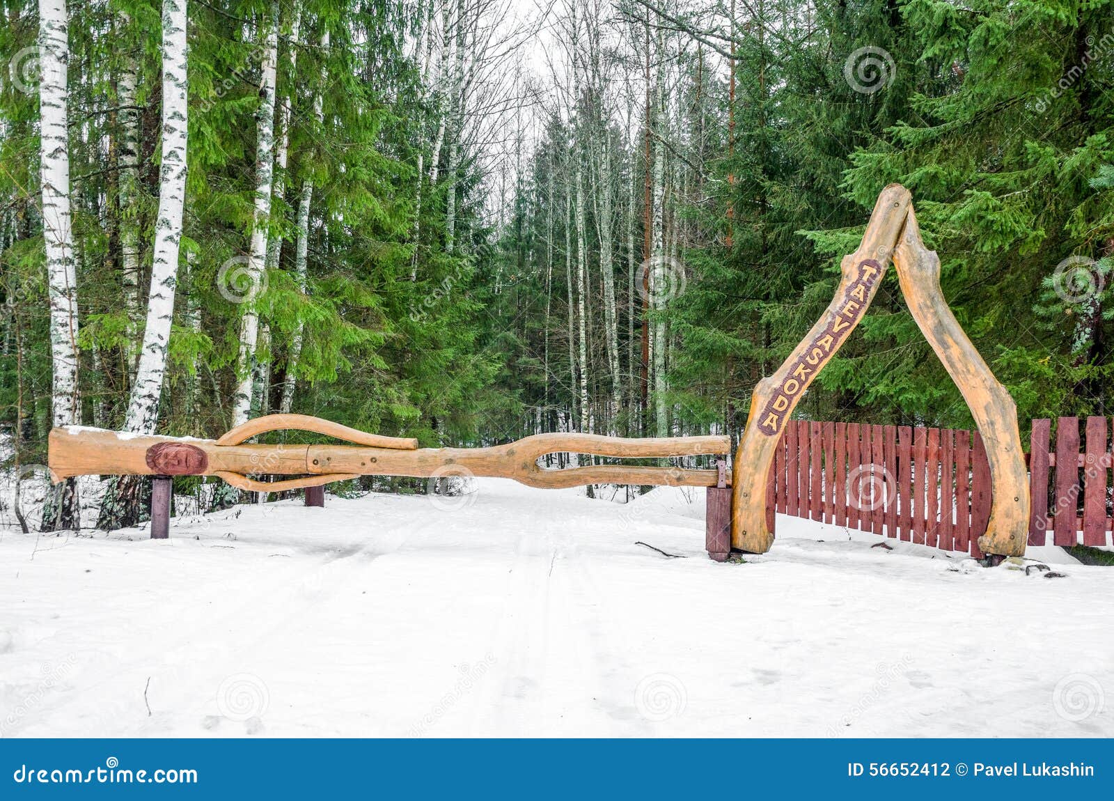 Passage in the Natural Park Stock Photo - Image of snow, nature: 56652412