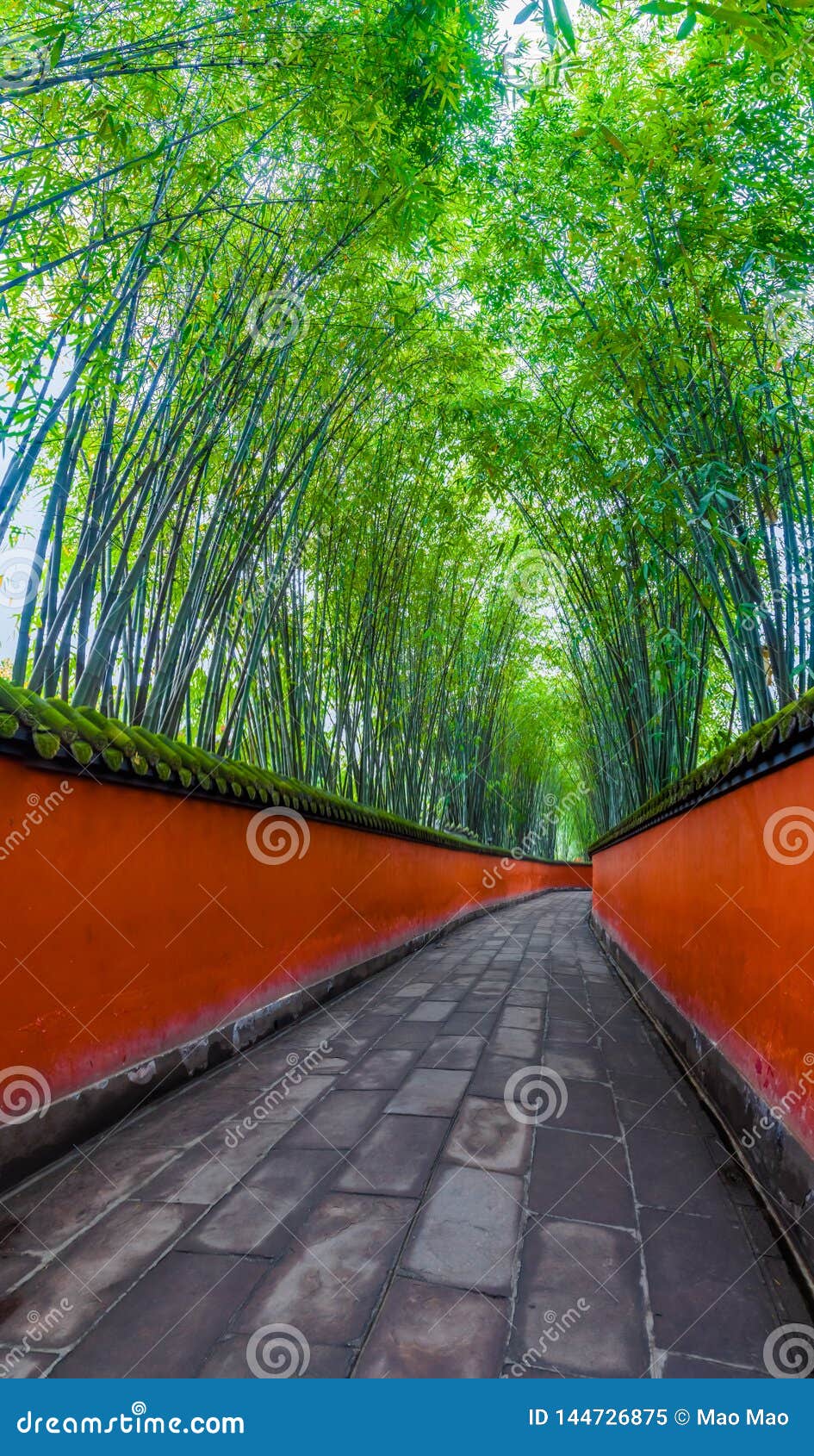 Passage between Red Walls Surrounded by Bamboos,chengdu,china. Stock ...