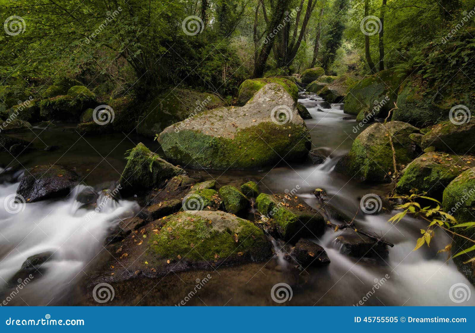 Passage between the rocks stock image. Image of forest - 45755505