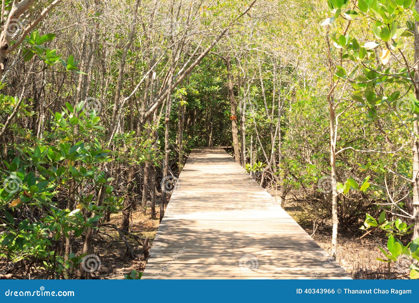 Passages stock photo. Image of passage, beautiful, perspective - 40343966