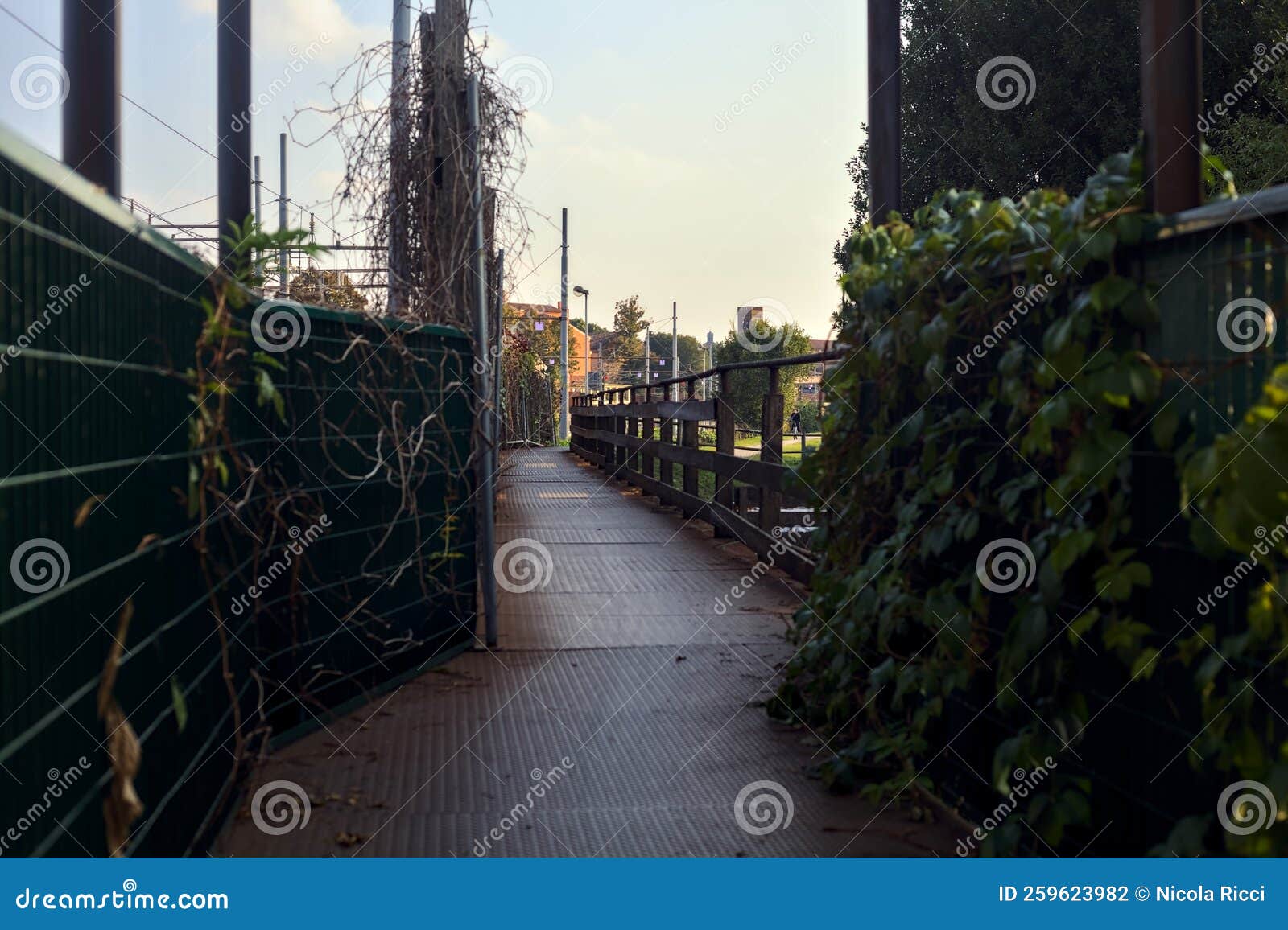 Passageway with Ivy Growing on a Rail Stock Photo - Image of bridge ...