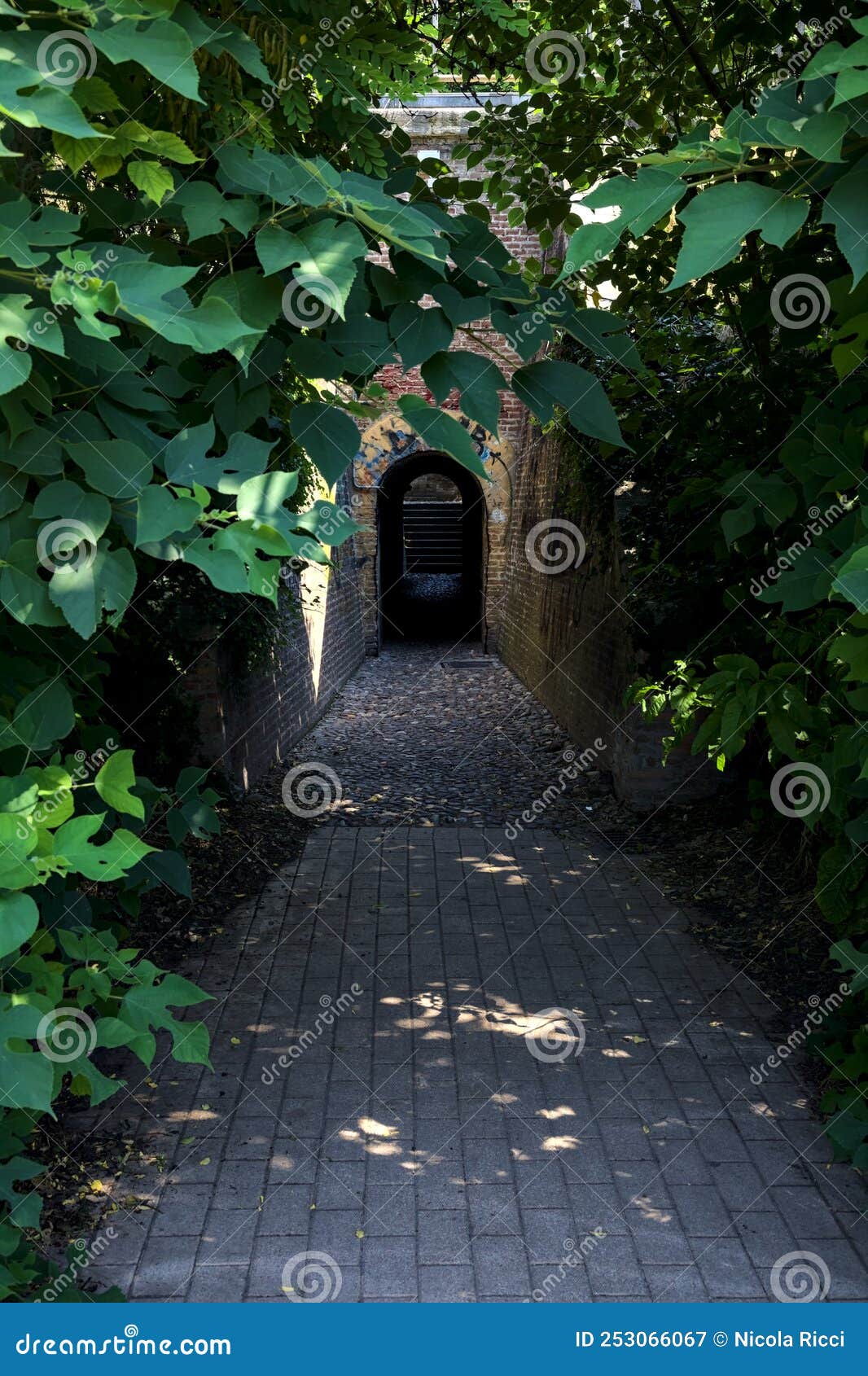 Passageway in a Wall Seen through Plants Stock Image - Image of blue ...