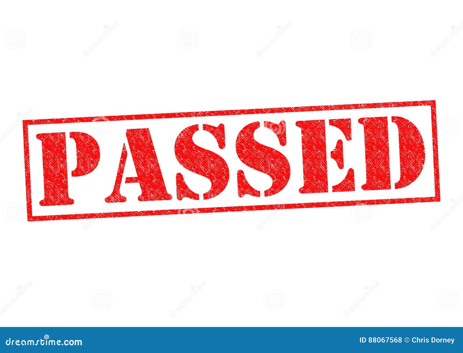 All Exams Passed Isolated Cartoon Vector Illustrations. | CartoonDealer ...