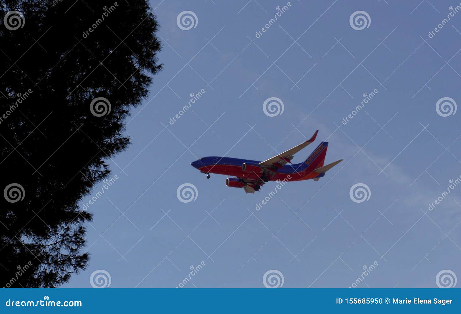 Passenger Airplane on Approach Landing Editorial Image - Image of trees ...