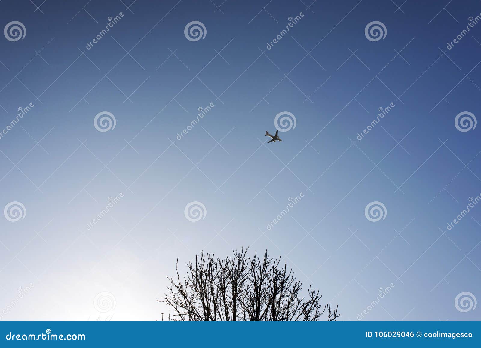 A Passenger Airplane Flying in the Blue Sky in Autumn with Trees on the ...