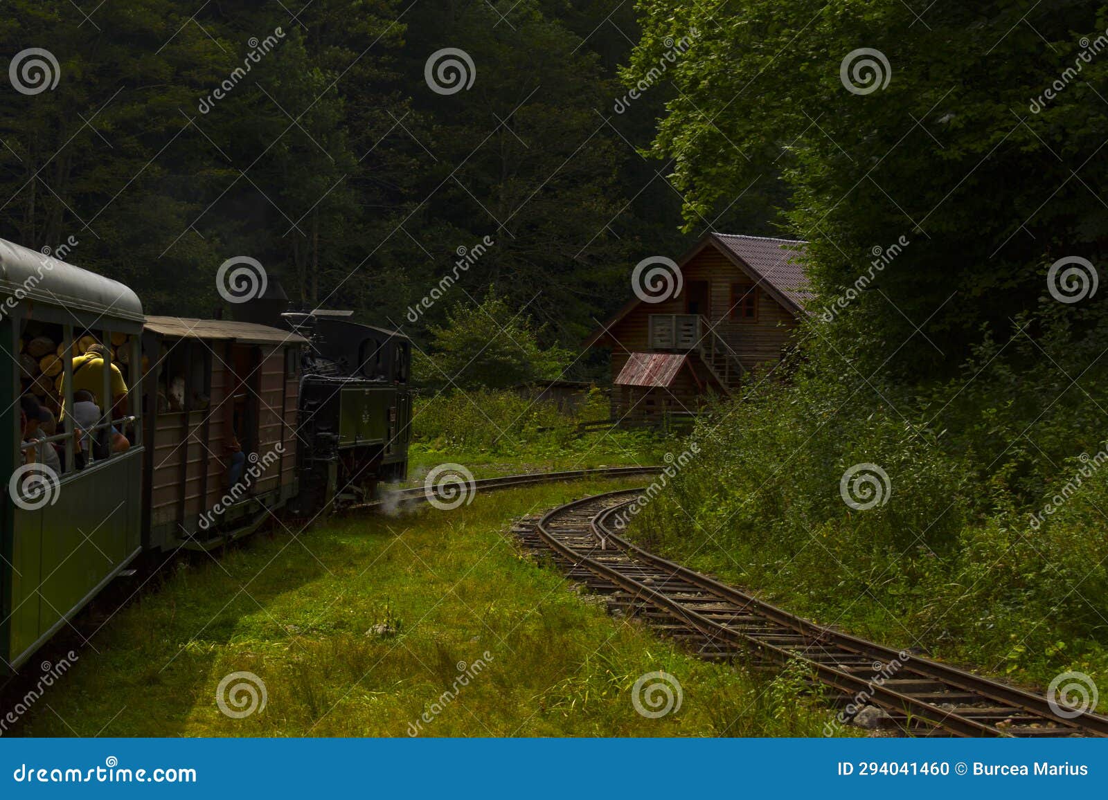 Passenger Train on the Railway in the Forest Stock Photo - Image of ...