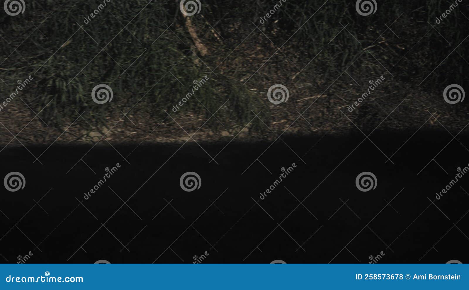 Passenger View of a Moving Train Shadow Stock Footage - Video of riding ...