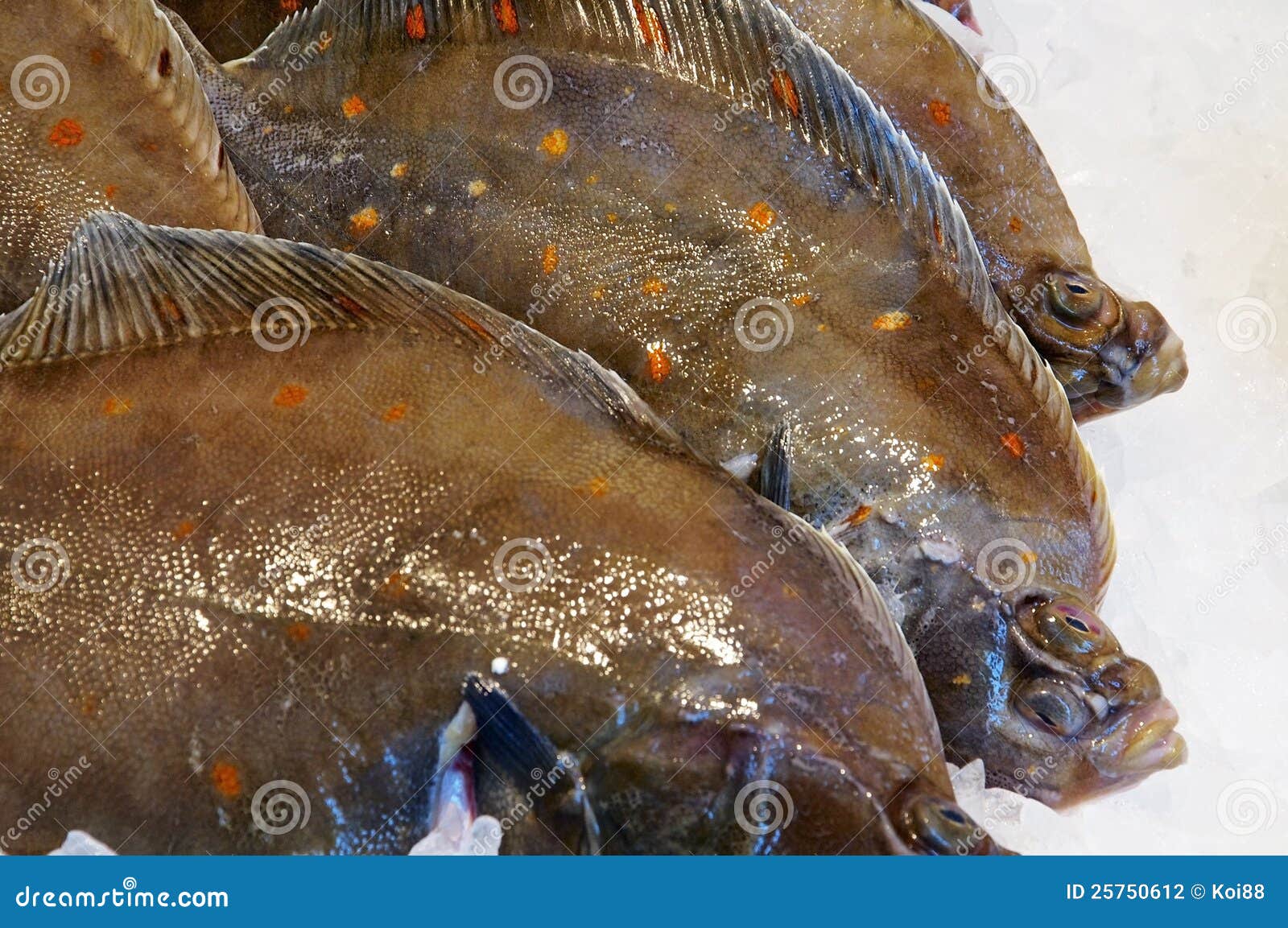 Passere fresche fotografia stock. Immagine di alimento - 25750612