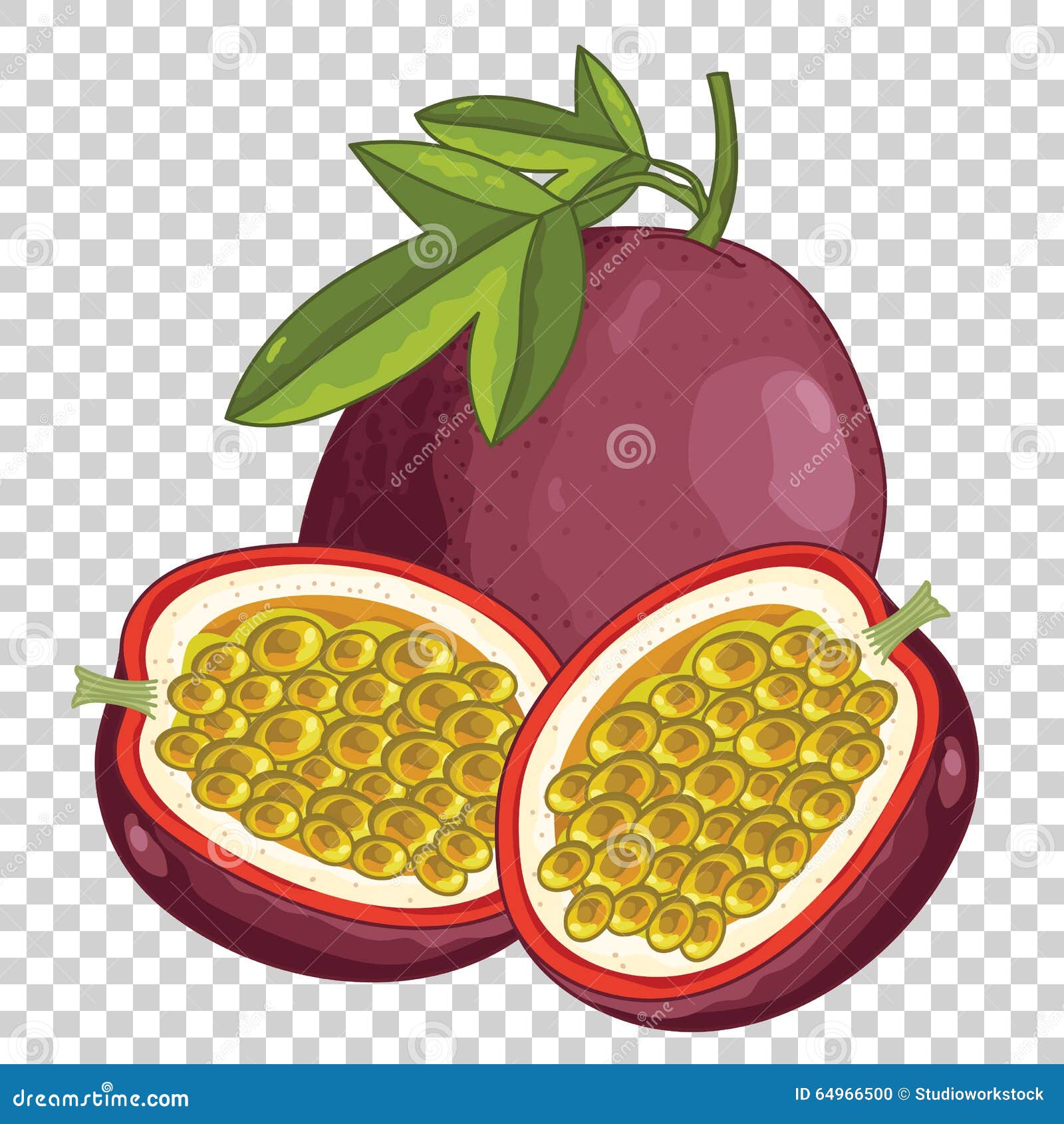 Passievrucht, Vector vector illustratie. Illustration of fruitig - 64966500