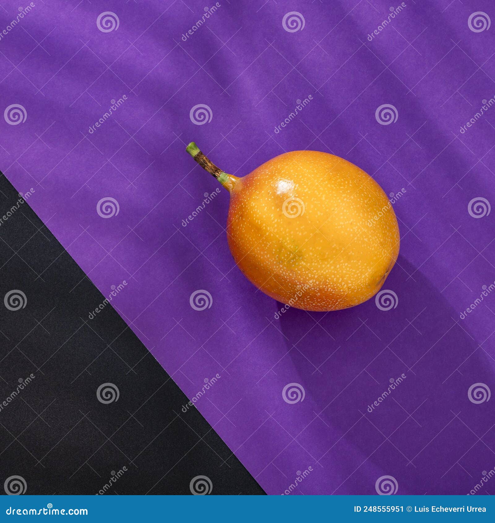 Passiflora Ligularis - Granadilla Tropical Organic Fruit Stock Image ...