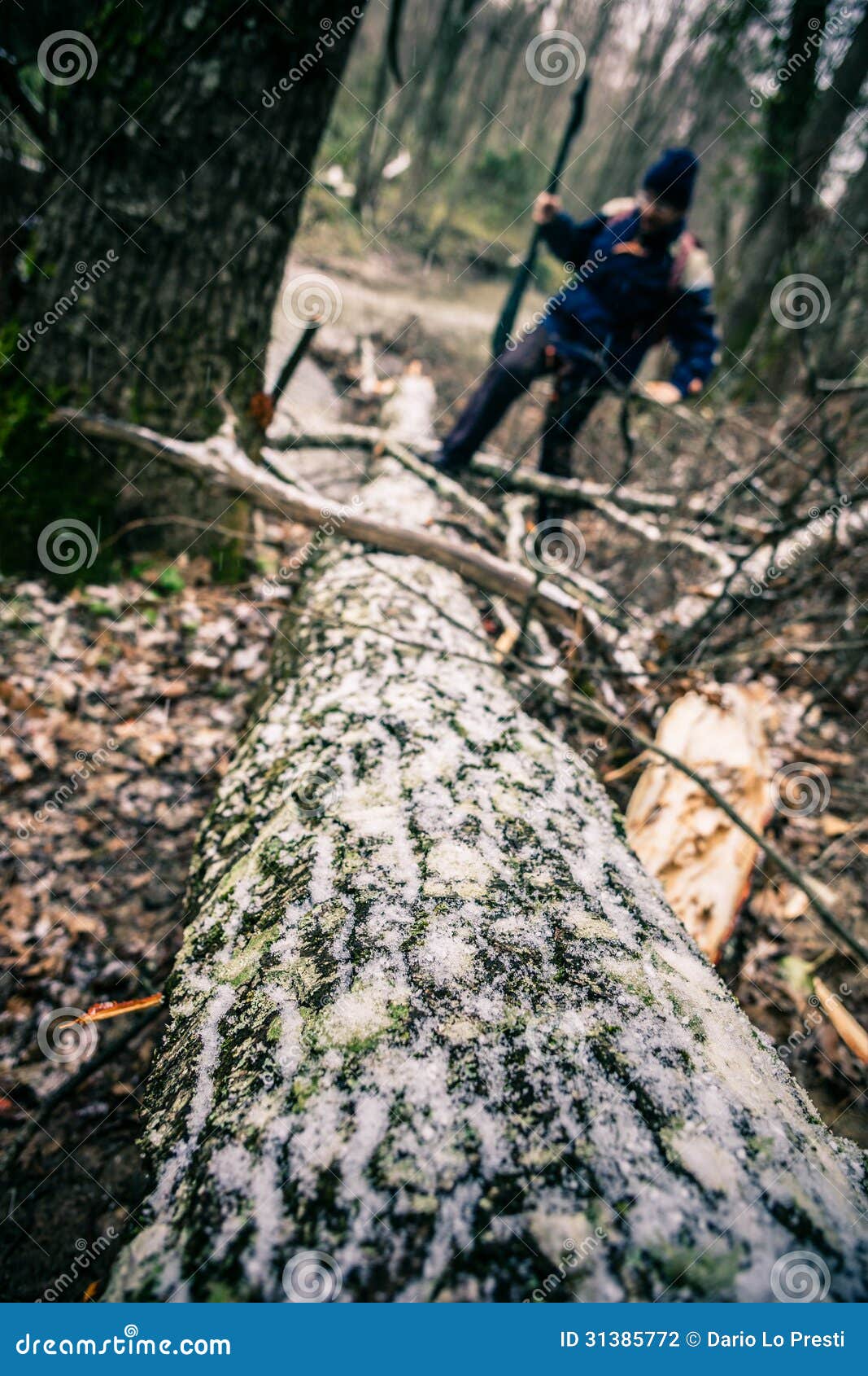 Passing a log stock photo. Image of gangway, focus, hiking - 31385772