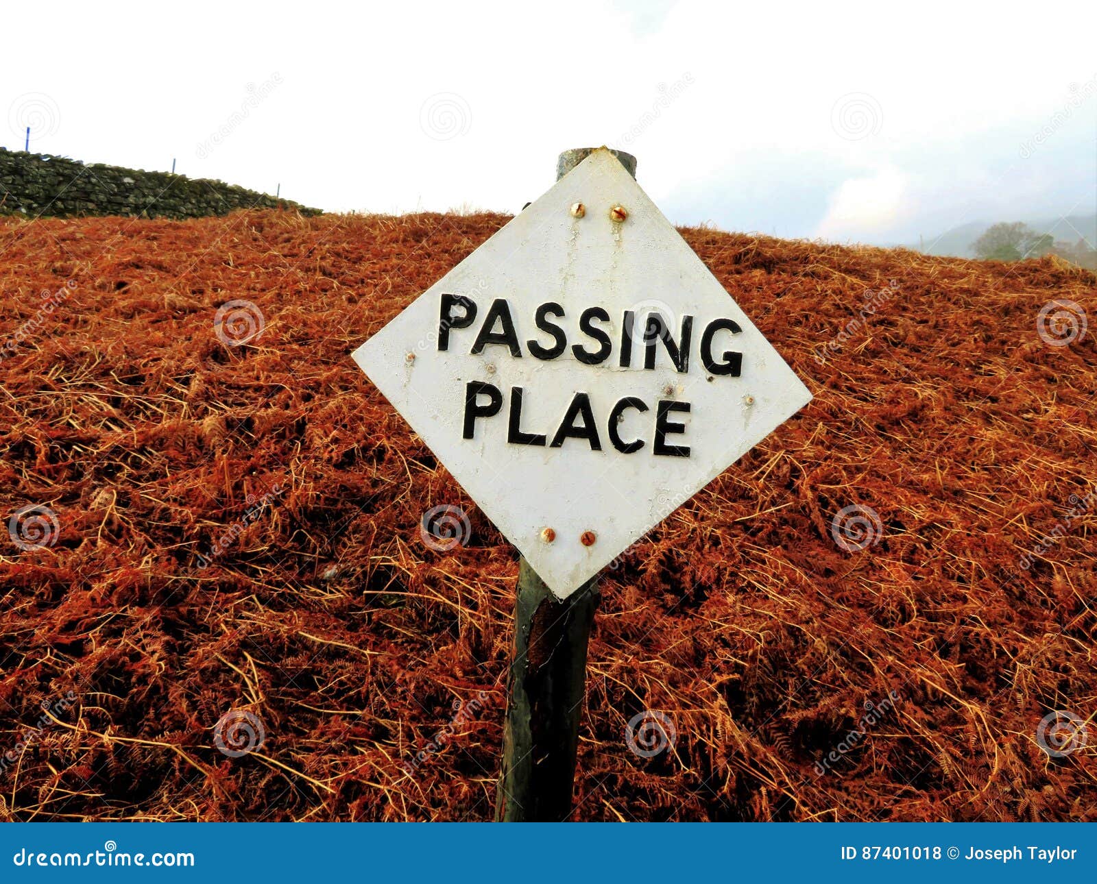 Passing Place Road Sign stock photo. Image of winter - 87401018