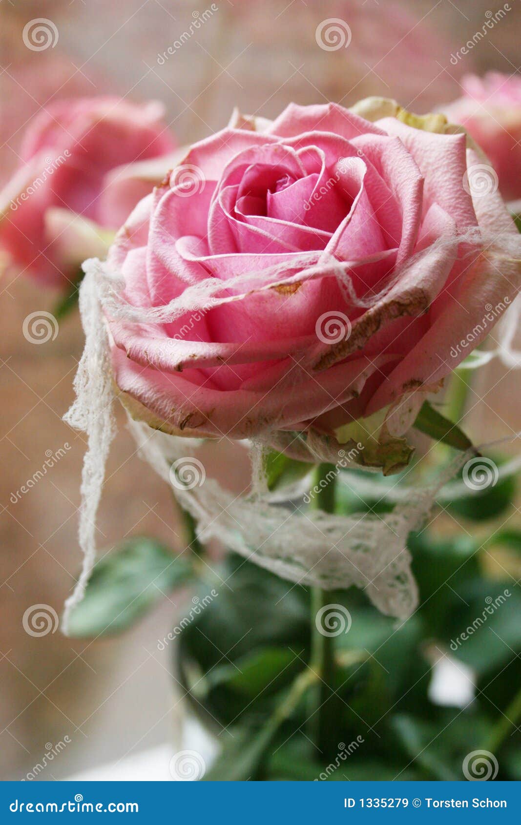 Passing time stock image. Image of transition, time, passing - 1335279