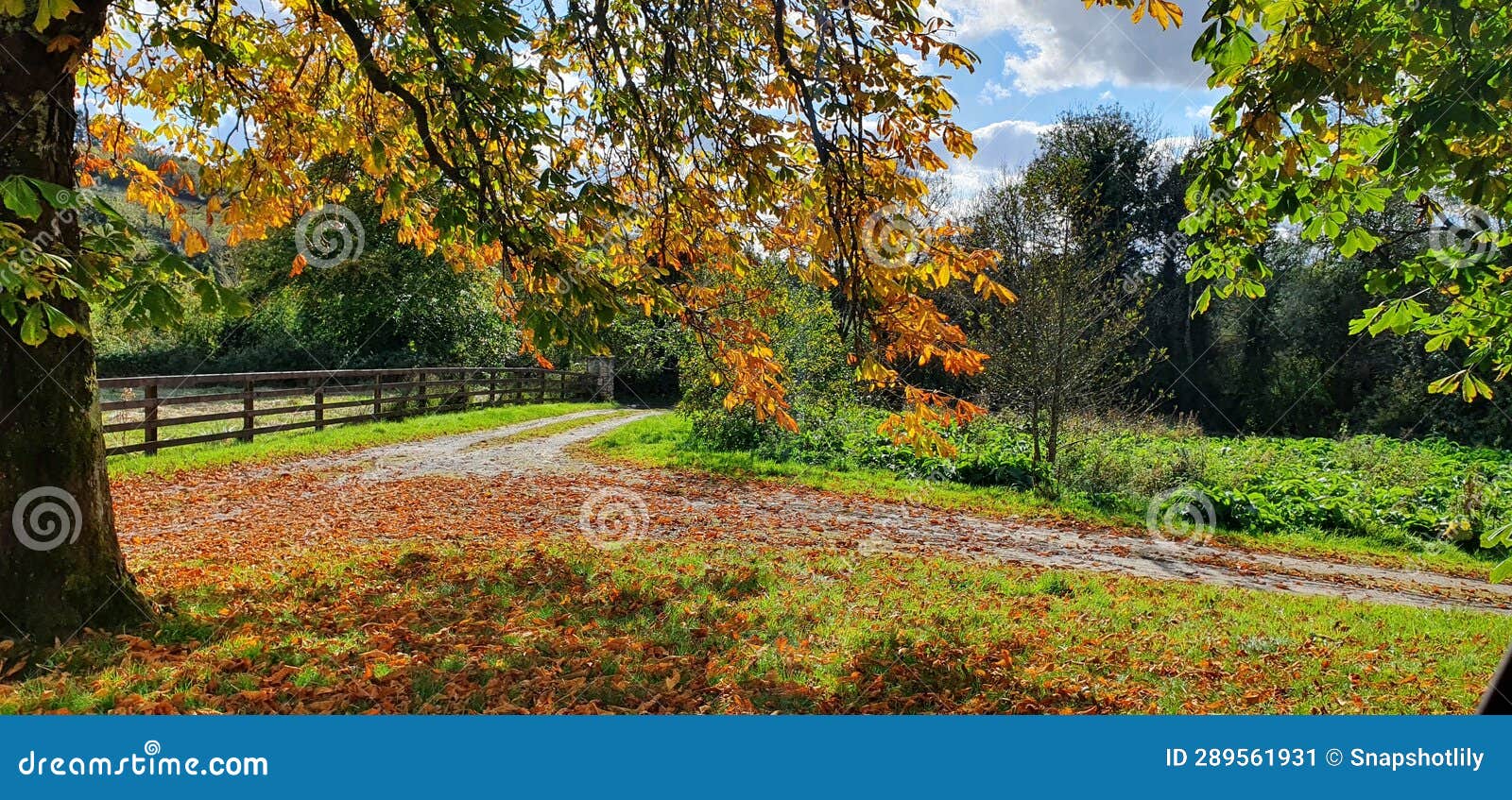 The passing of time stock image. Image of passing, time - 289561931