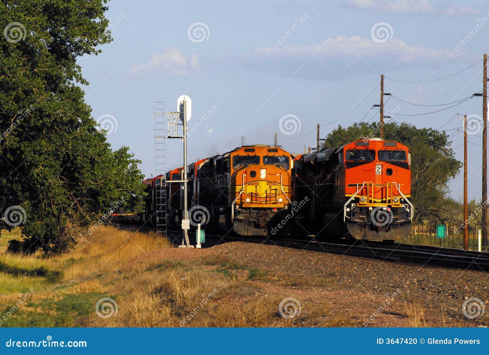 Passing Trains stock photo. Image of trains, trees, orange - 3647420