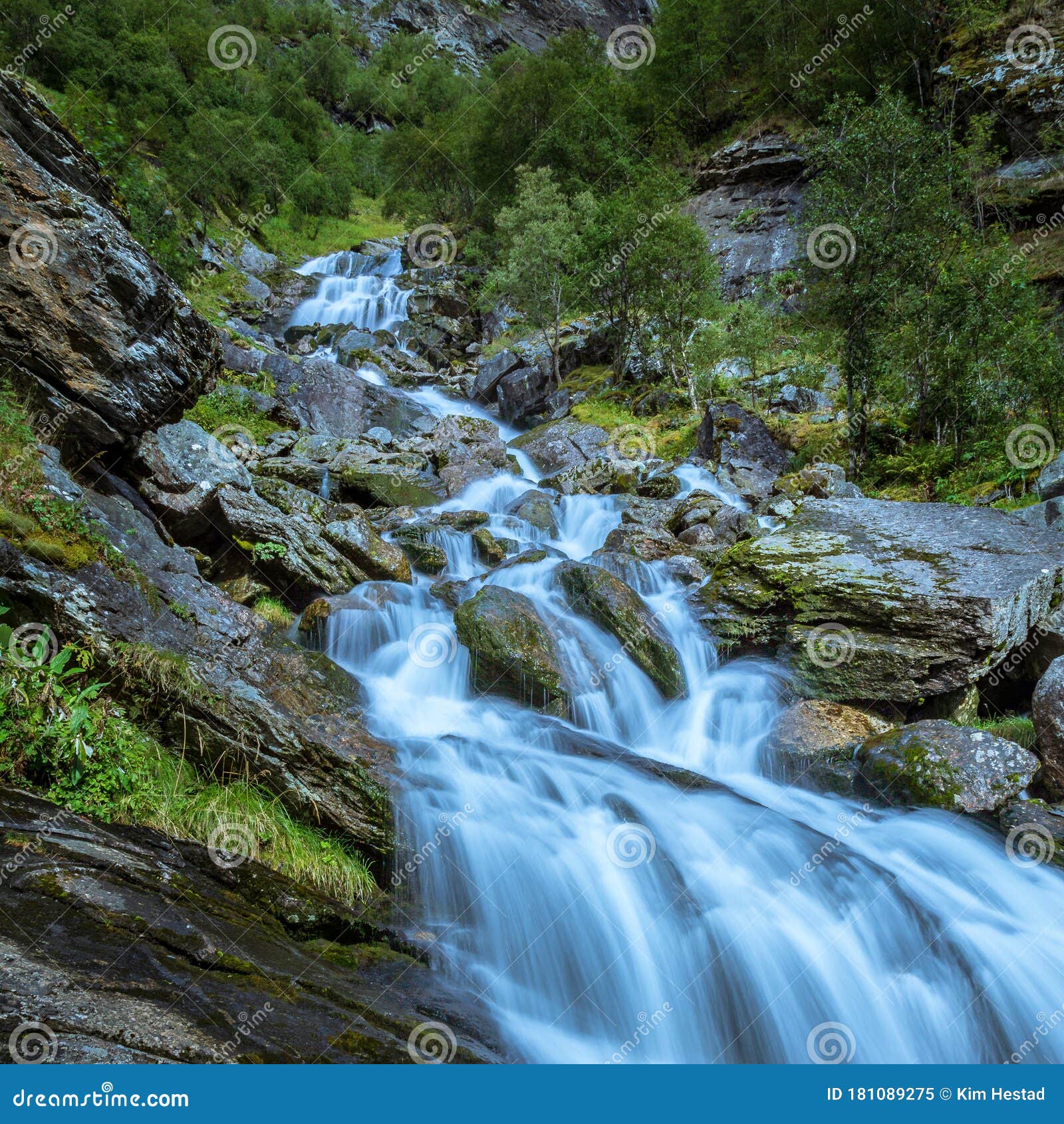 The passing water stock image. Image of tree, waterfall - 181089275