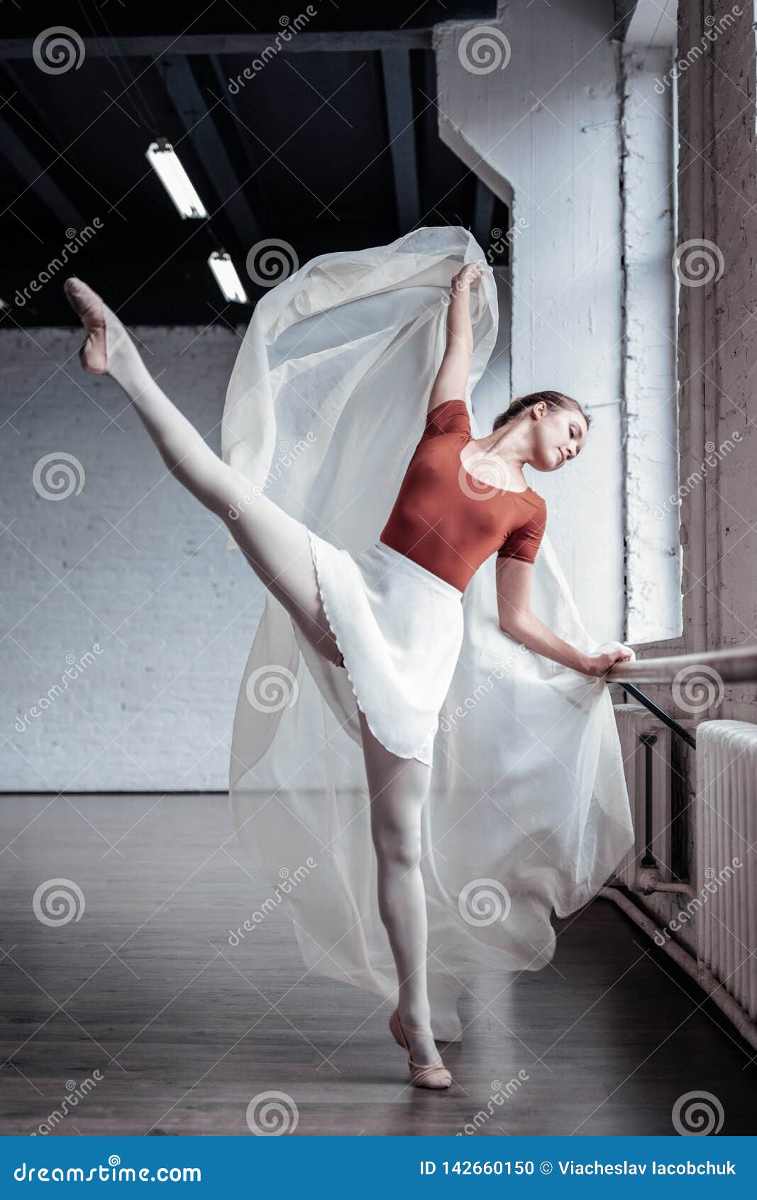 Nice Attractive Ballet Dancer Enjoying Her Work Stock Photo - Image of ...