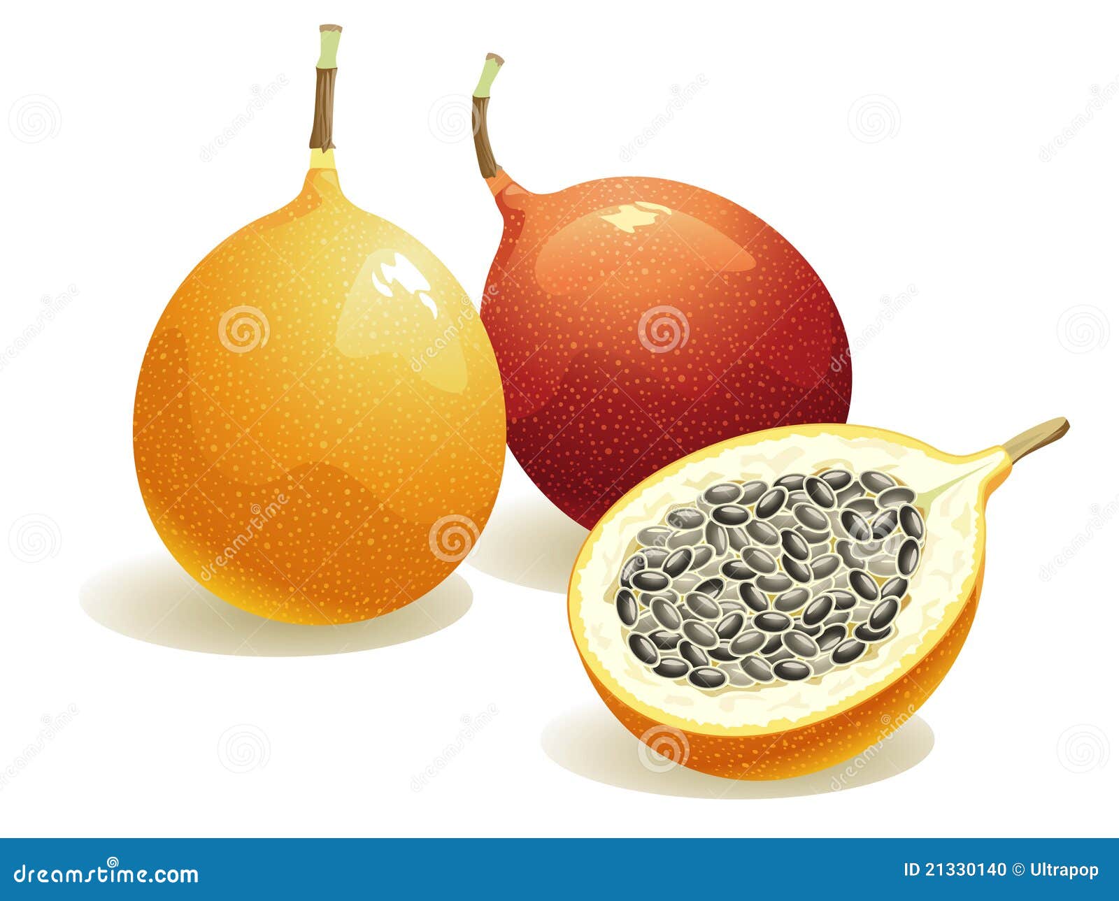 Passion Fruit Vector Drawing Set Hand Drawn Tropical Food Illustration