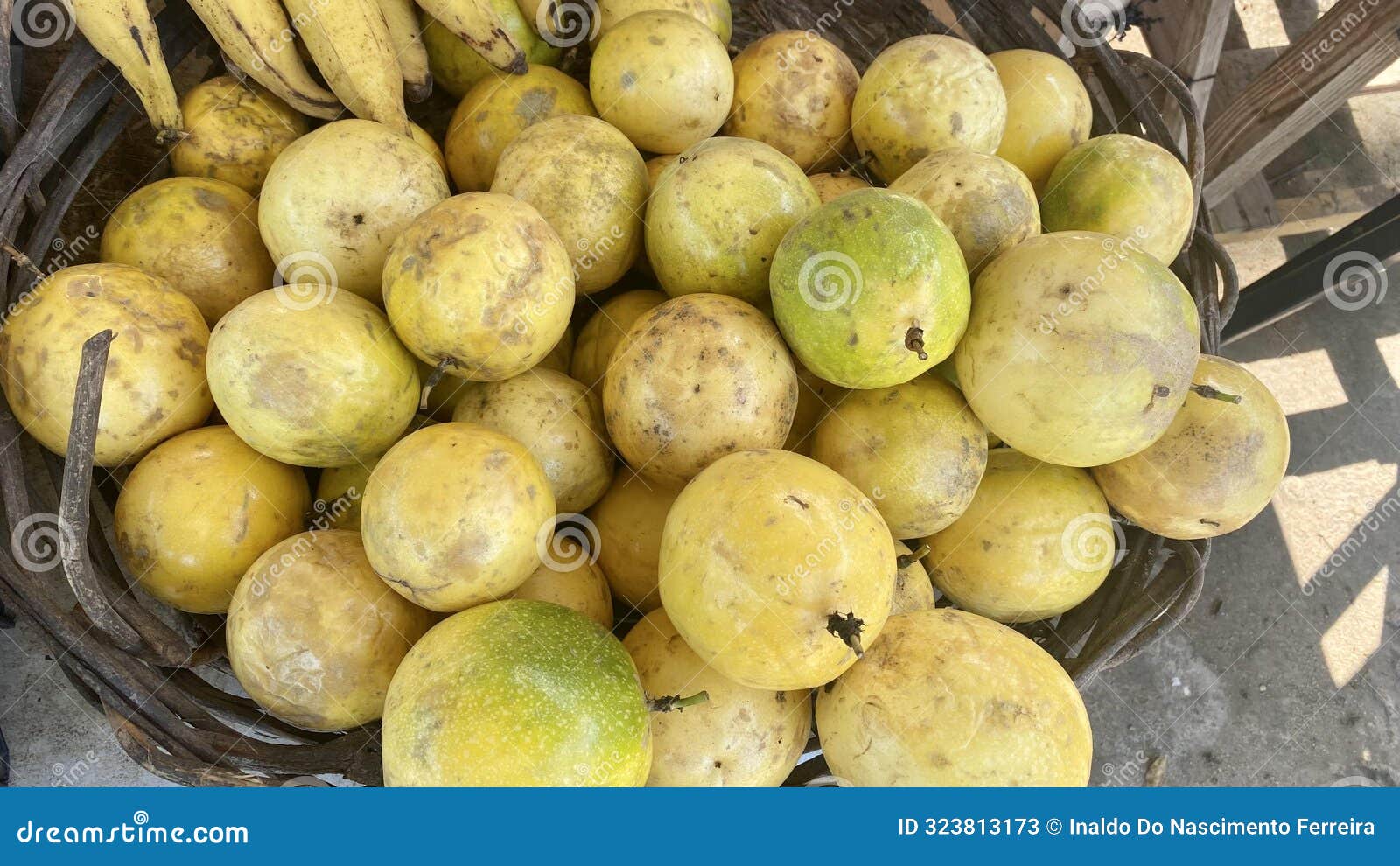 Passion Fruit Sold at Fair Free To Make Juice and Sweets Stock Image ...