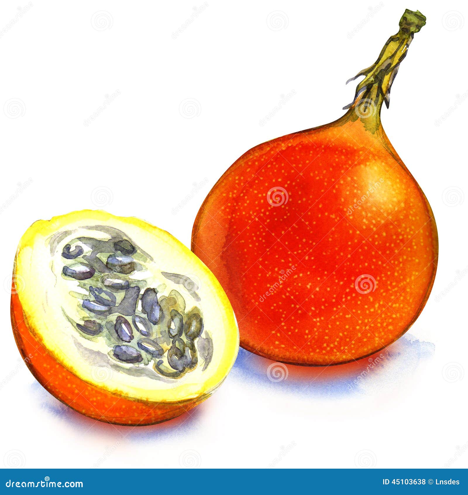 Passion Fruit Vector Drawing Set Hand Drawn Tropical Food Illustration