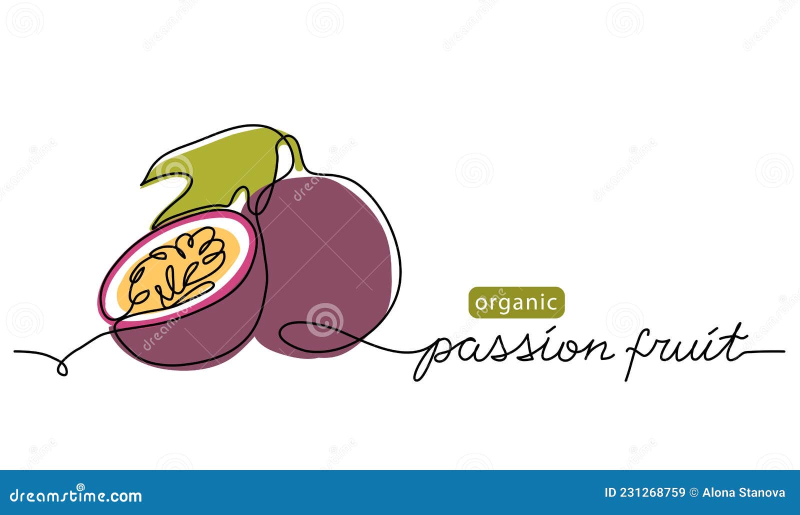 Passion Fruit Maracuya Simple Color Vector Illustration One Line Art
