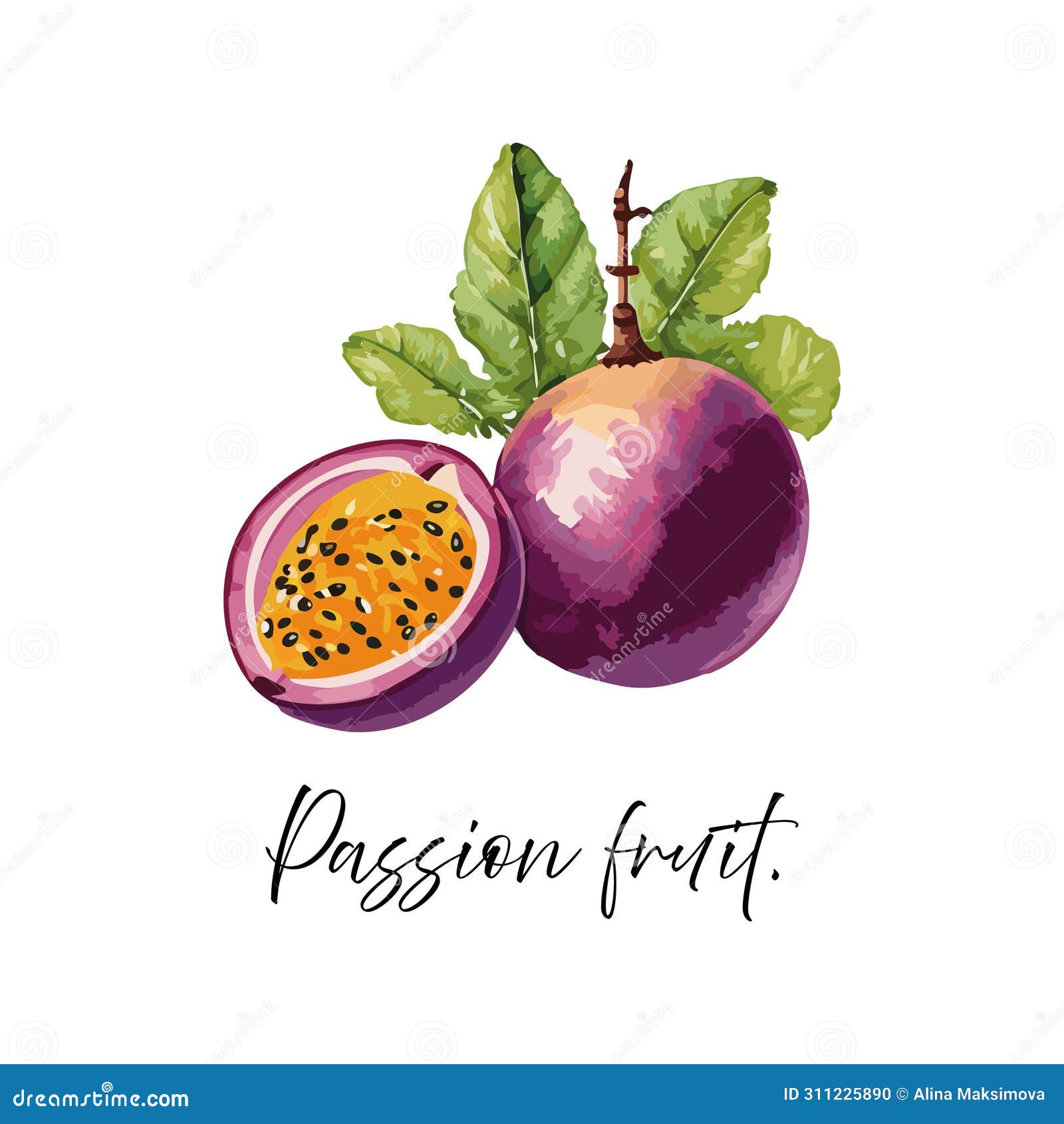 Passion Fruit Vector Illustration Stock Vector - Illustration of object ...