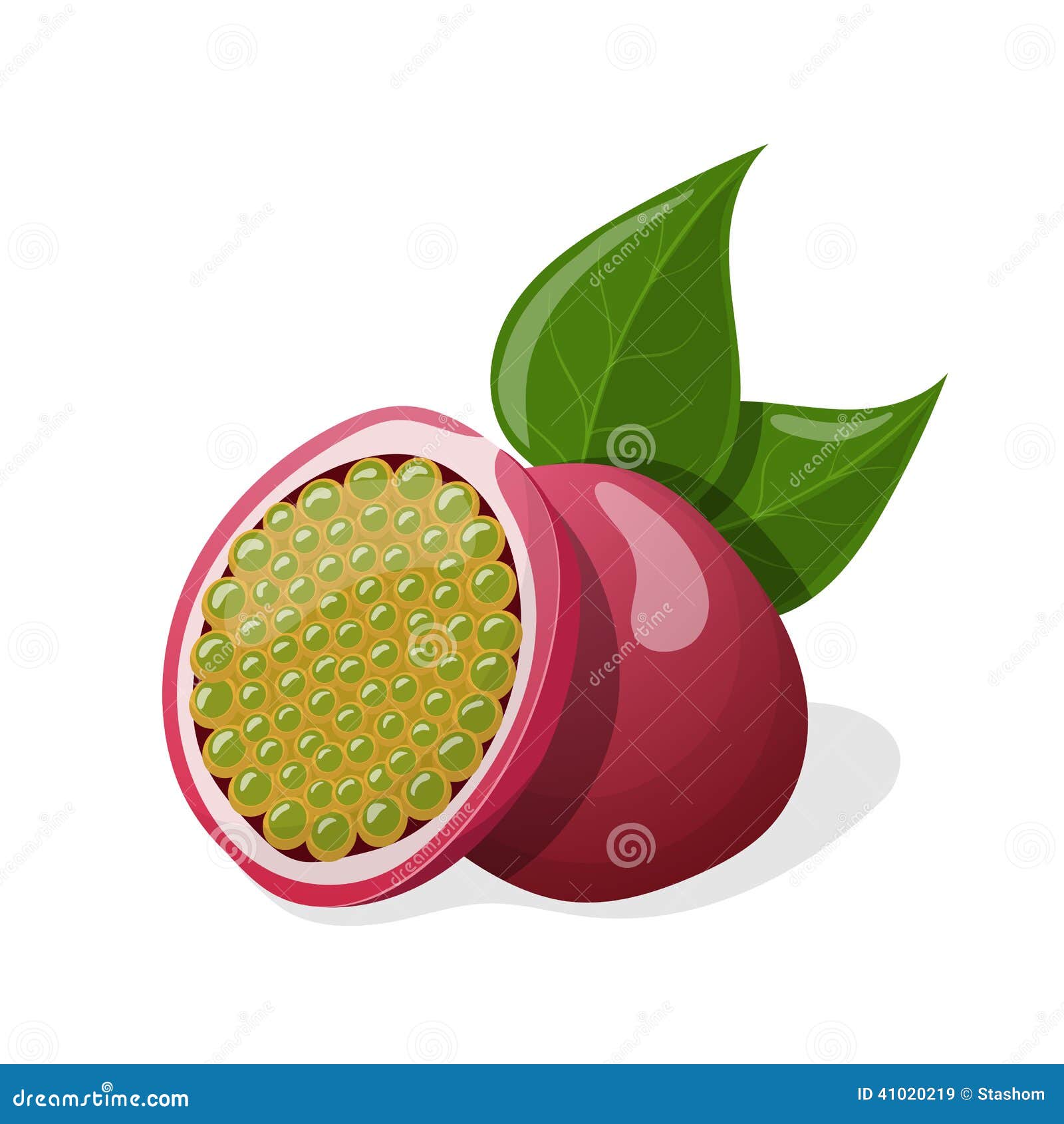 Passion Fruits With Leafs Vector Illustration Stock Vector