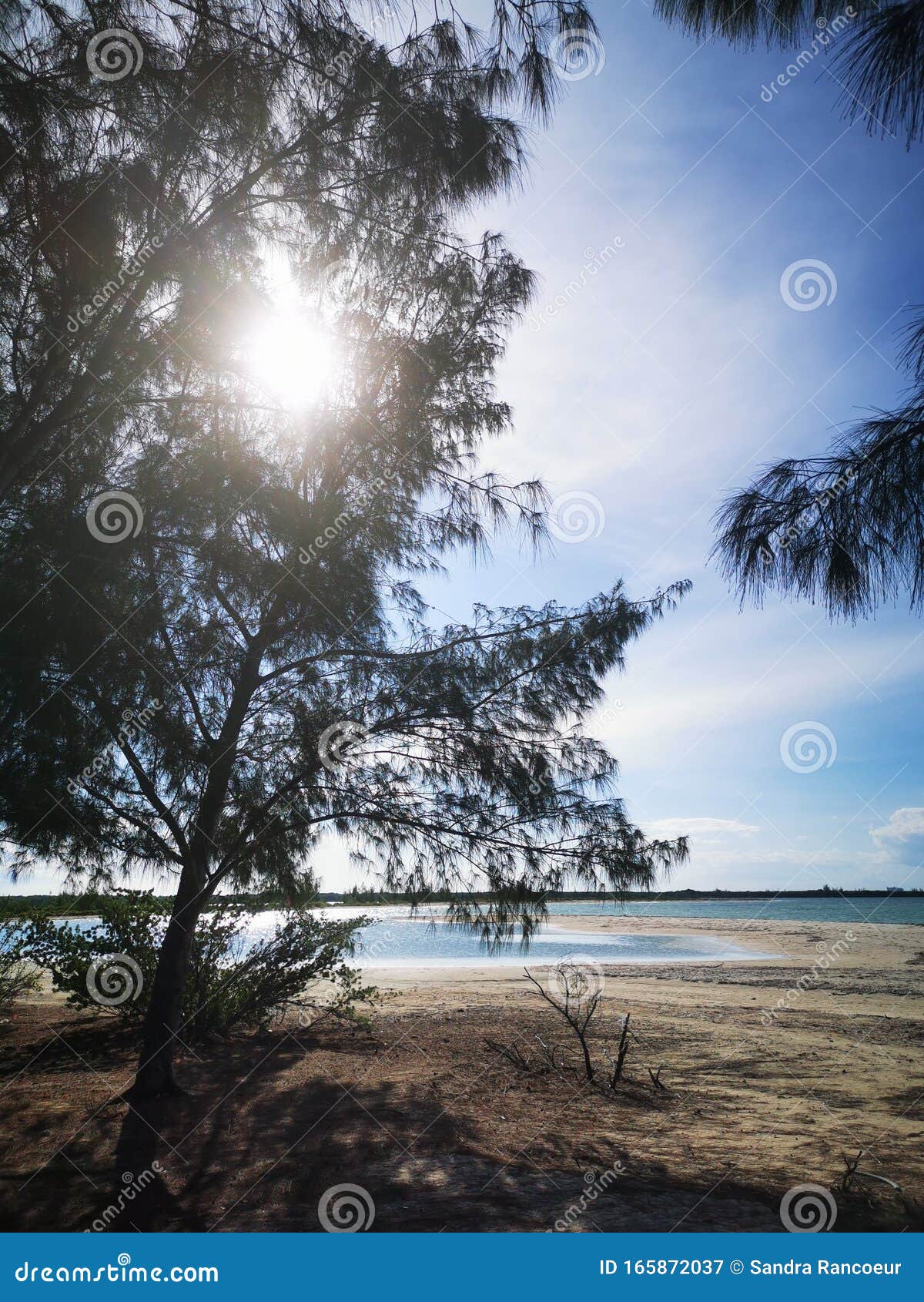 Passion island, Mexico stock image. Image of lake, passion - 165872037