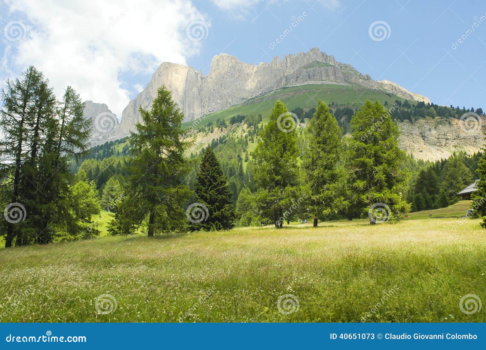 Passo Di Costalunga, Dolomia Immagine Stock - Immagine di colore ...