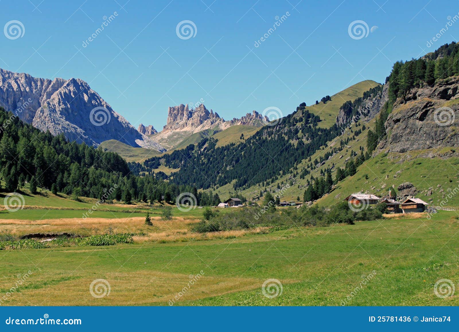 Passo Duron stock photo. Image of italy, forest, natural - 25781436
