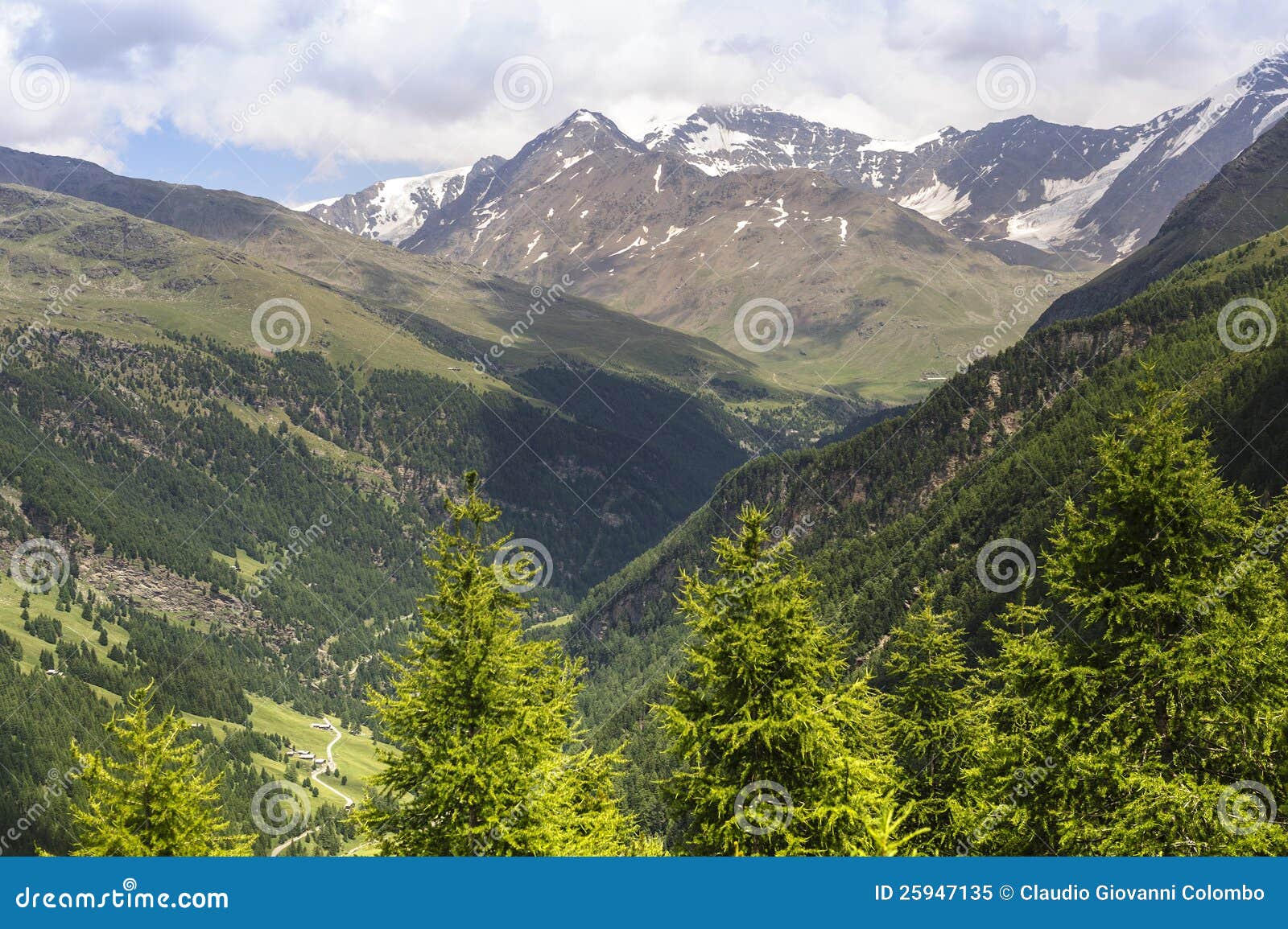 Passo Gavia stock image. Image of gavia, green, plant - 25947135