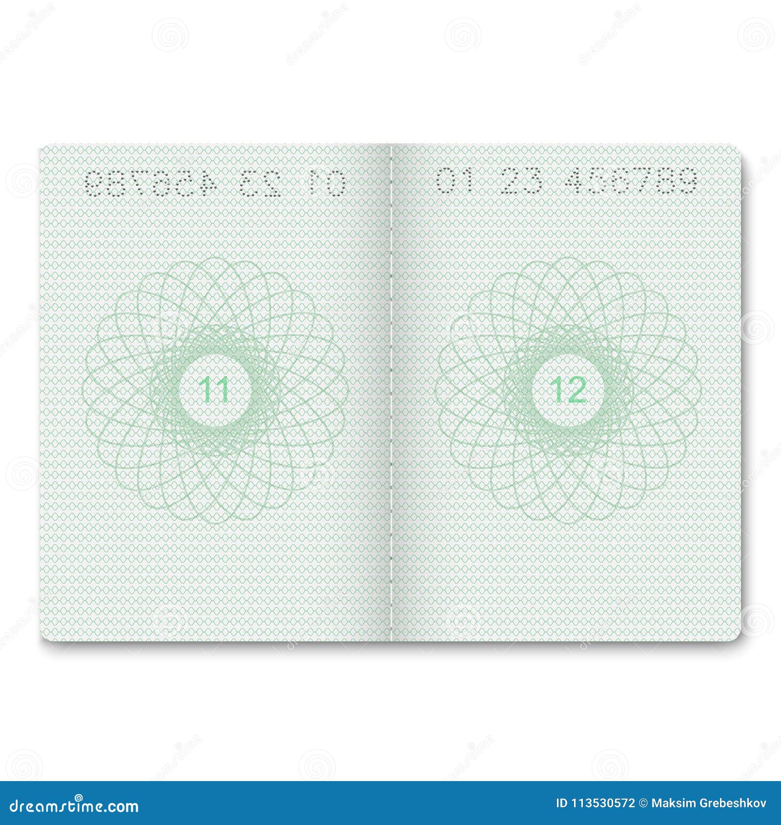 Passport Blank Pages Stock Vector Illustration Of Blank 113530572