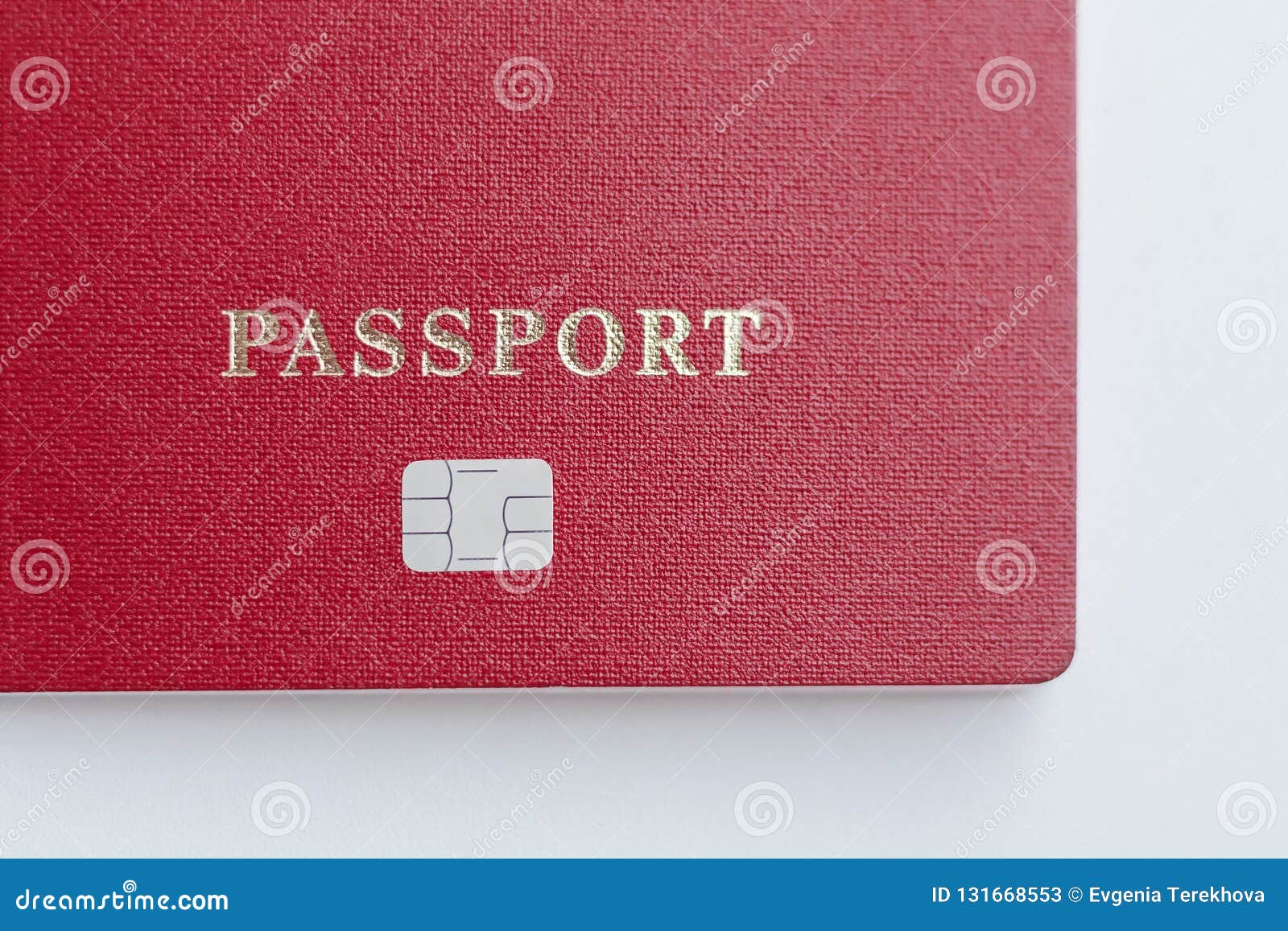 Electronic Chip Symbol Passport at Harold Lucia blog