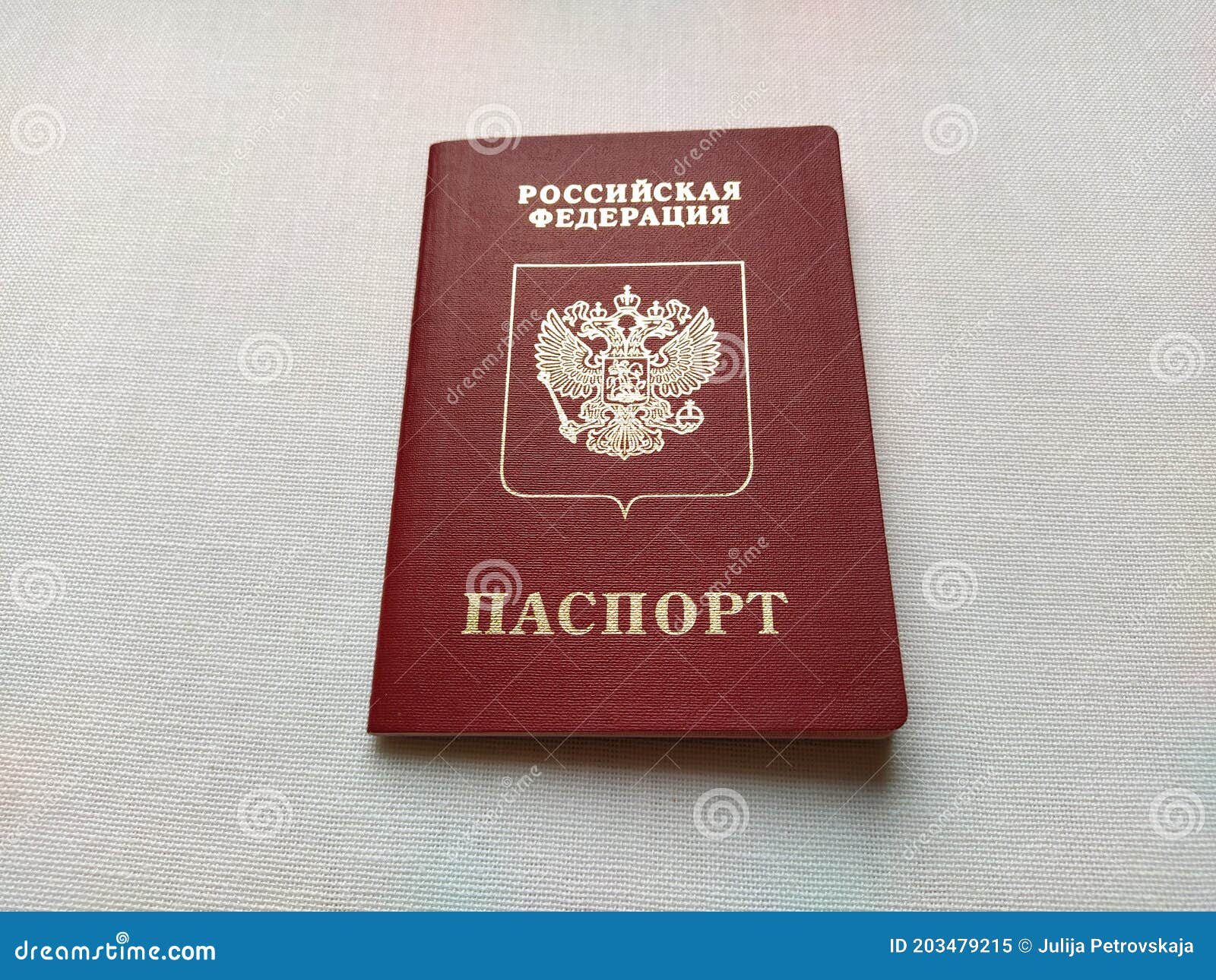 Passport Of A Citizen Of The Russian Federation International Passport