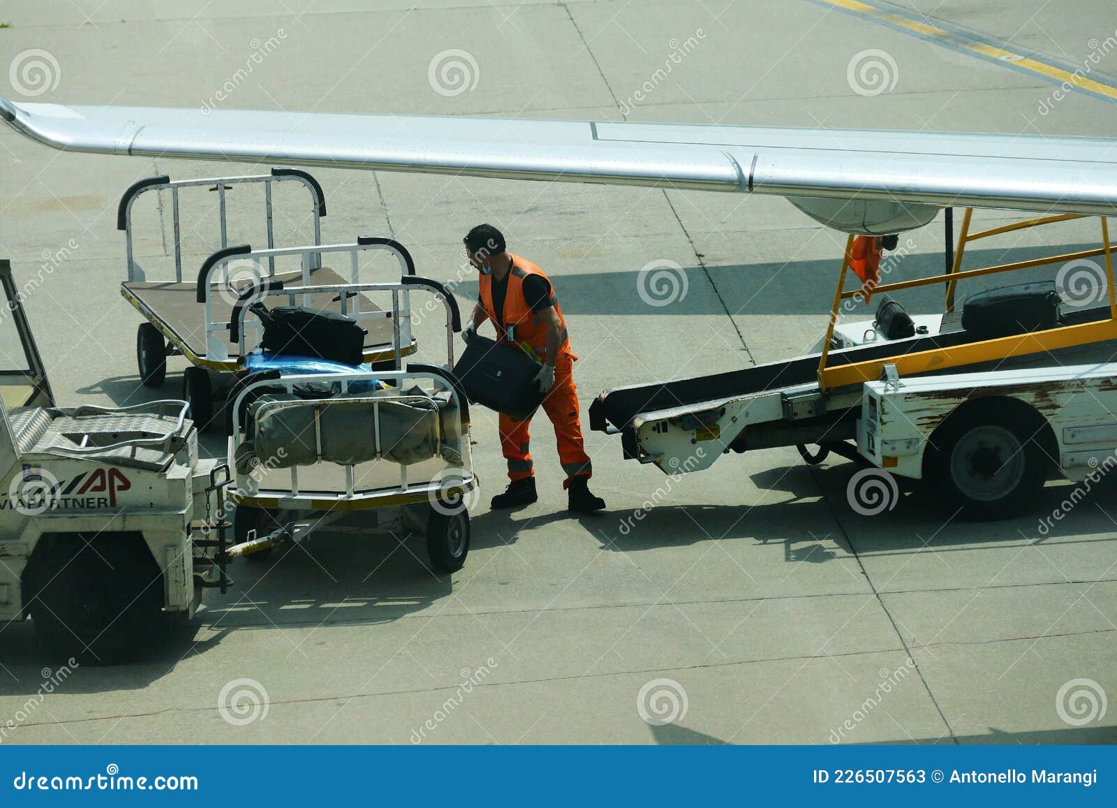 Passsengers Baggage Loading Operations in the Hold of the Aircraft ...