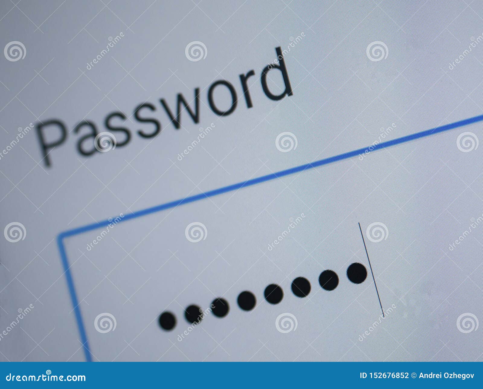 Password Blank Form on the Web Site Stock Photo - Image of closeup ...