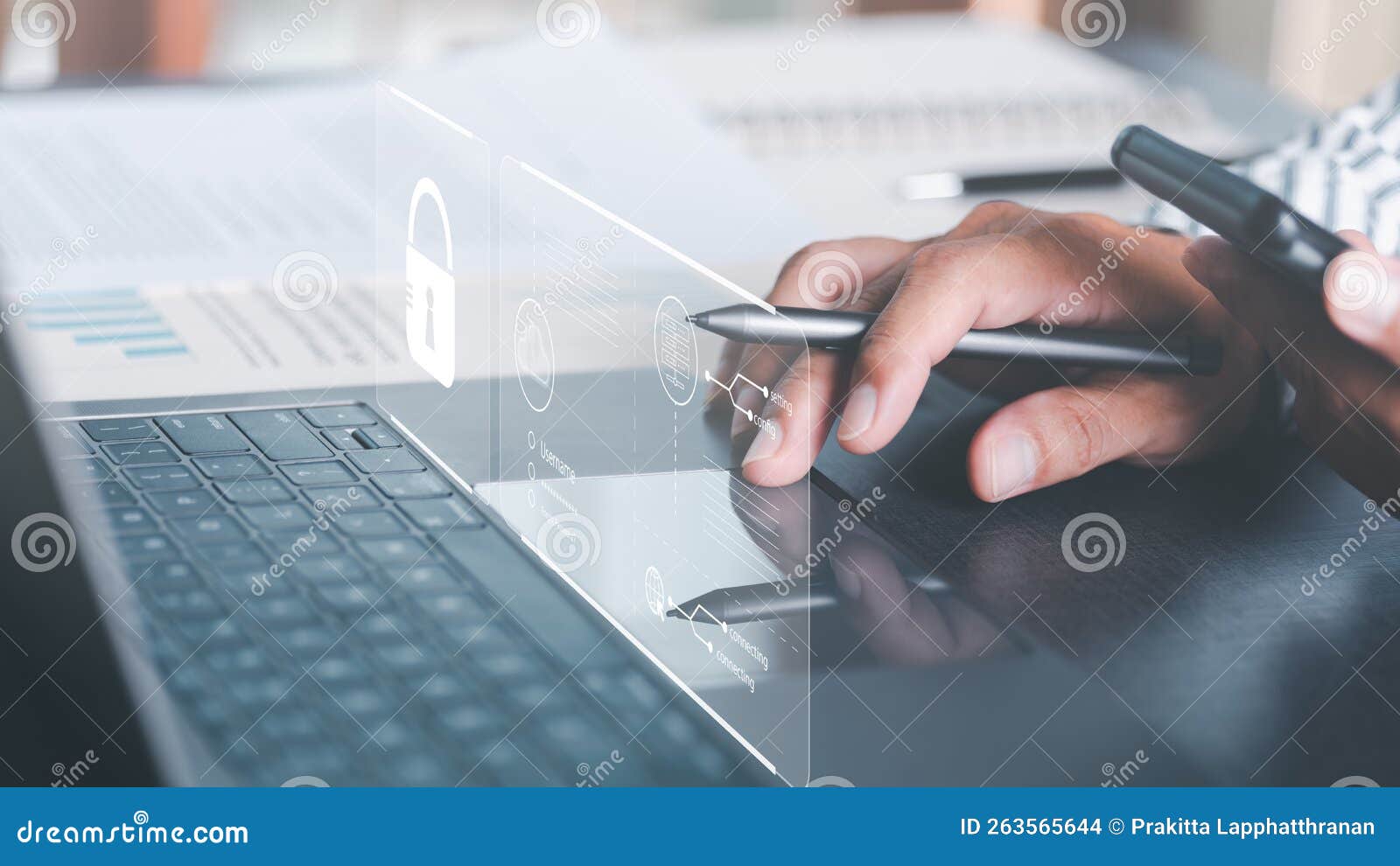Password Privacy Authentication And Authentication Access To
