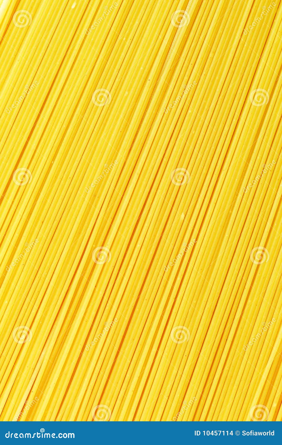 Pasta stock photo. Image of food, healthy, cooking, pasta - 10457114
