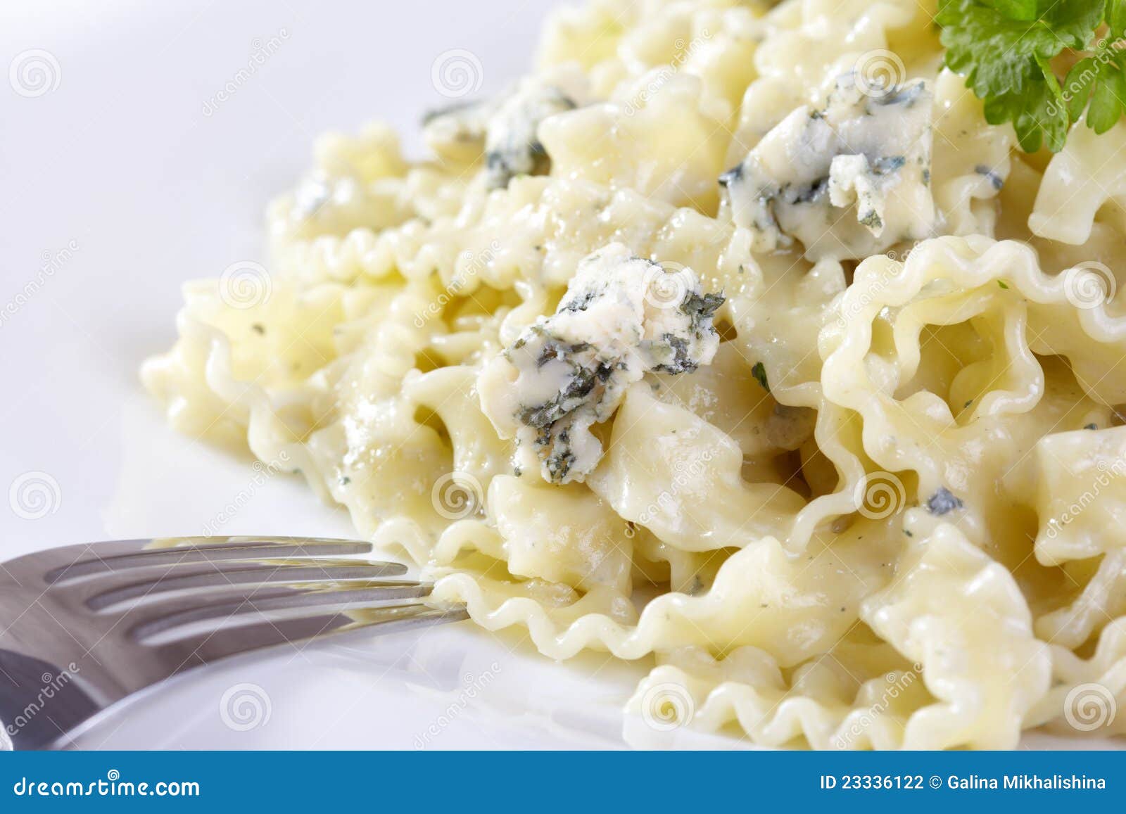 Pasta stock photo. Image of closeup, sauce, mold, macaroni - 23336122