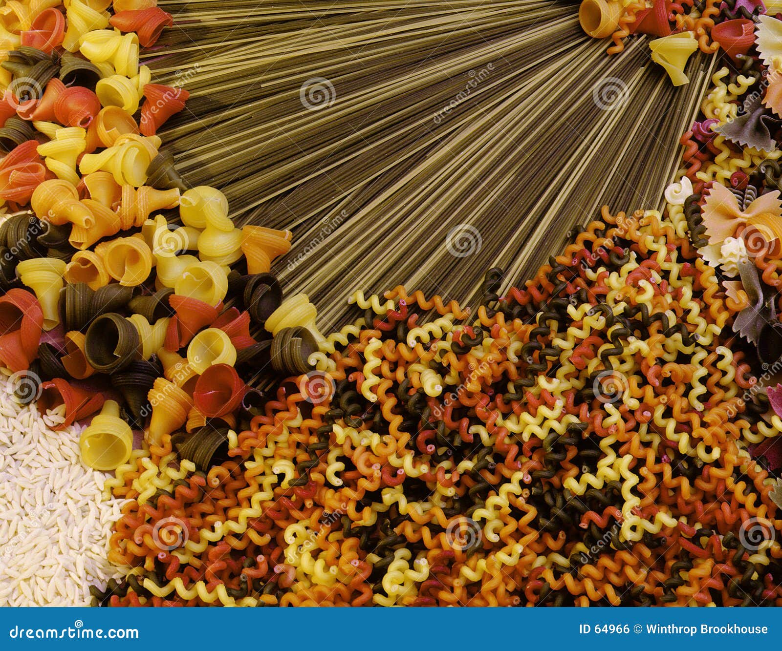 Pasta stock photo. Image of pasta, food, bows, healthy, organic - 64966